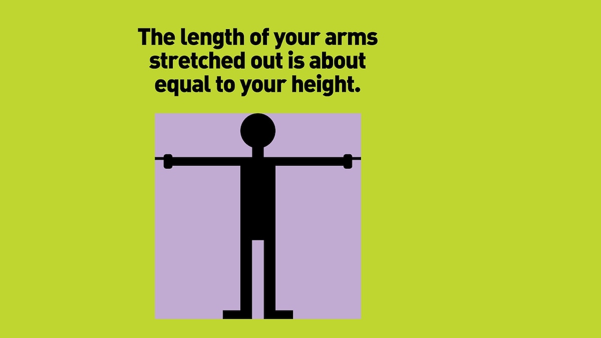 Weird But True!: Human Body 2 | National Geographic Kids