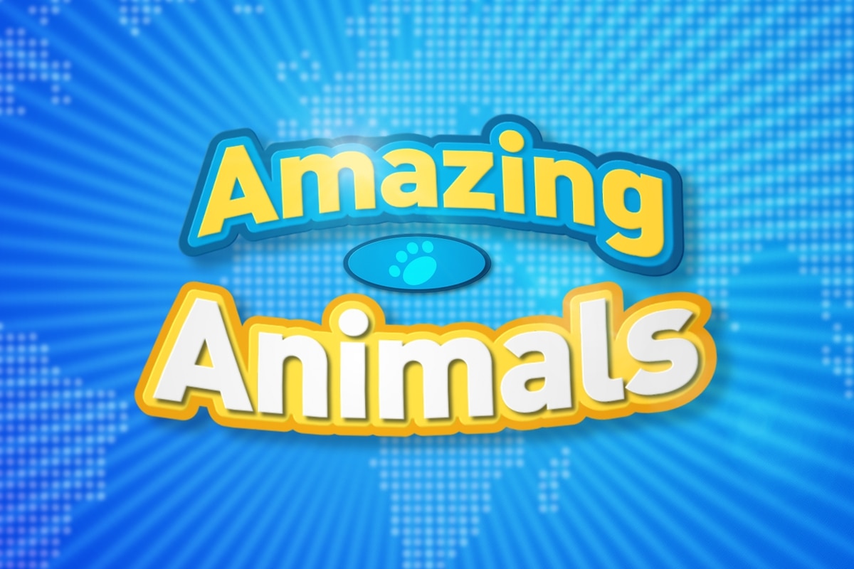 Amazing Animals