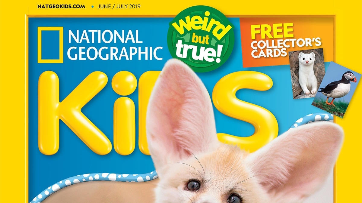 Magazine June / July 2019 Extras!