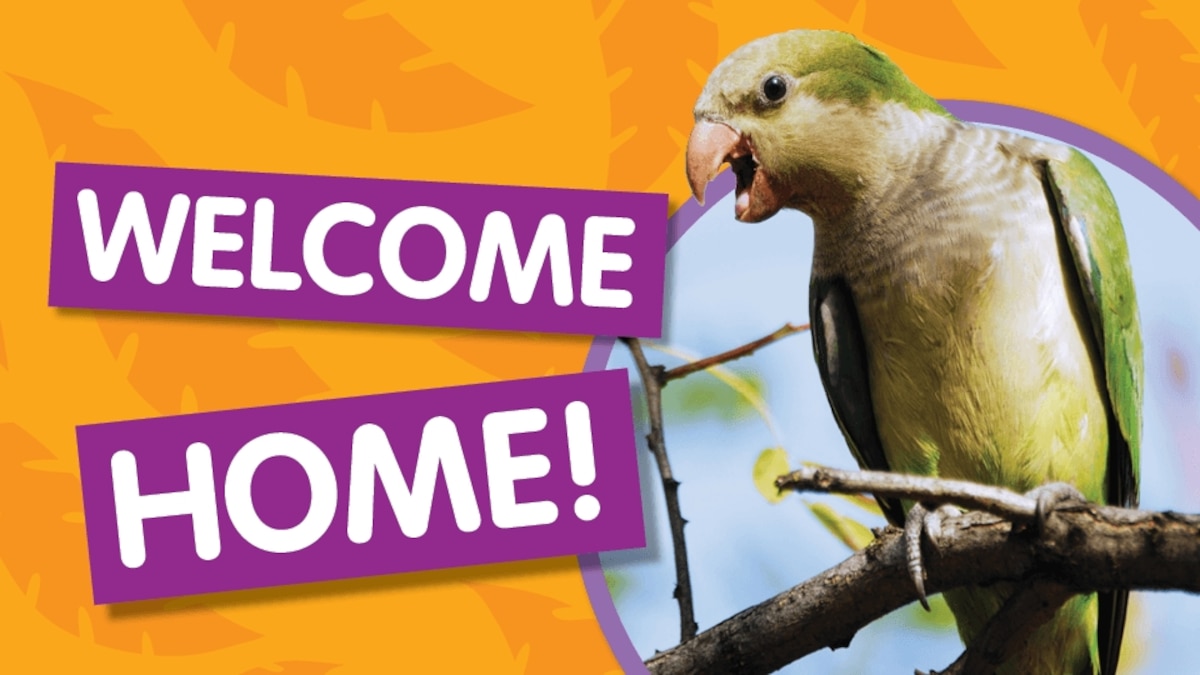 Amazing Animals: Welcome Home | National Geographic Kids