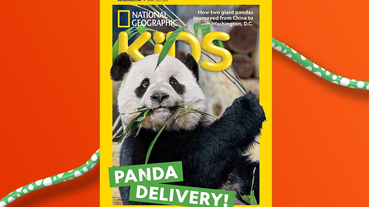 Sneak Peek June-July 2025 | National Geographic Kids