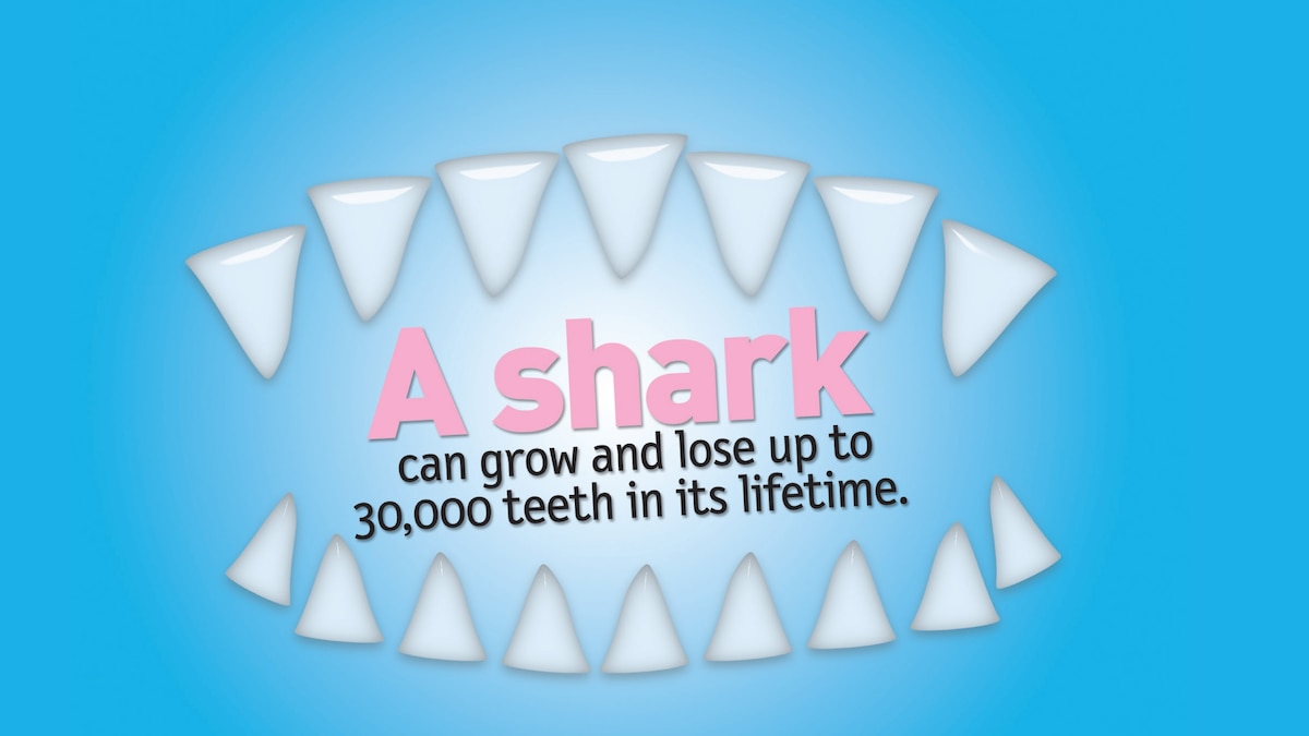 Weird But True: Fish | National Geographic Kids