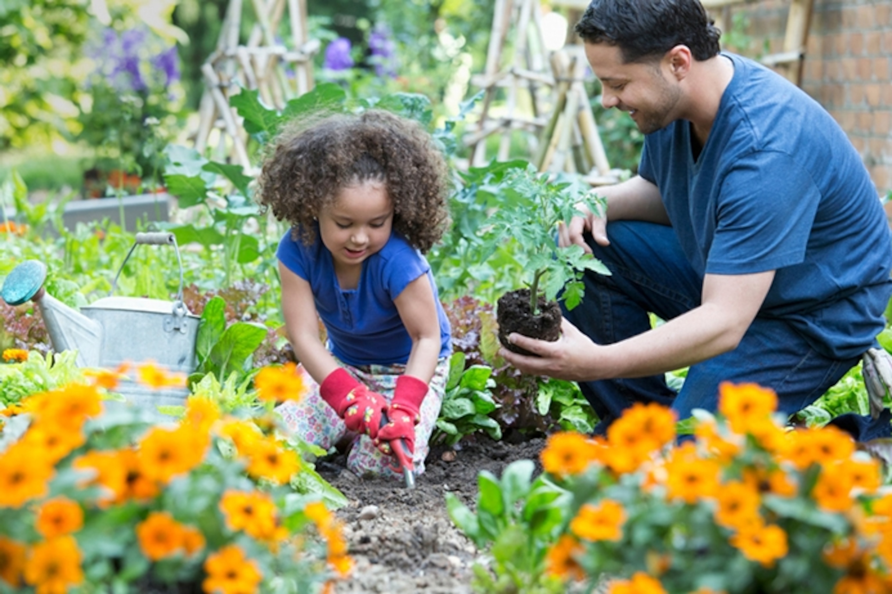 Garden Helpers National Geographic Big Book | Fasci Garden