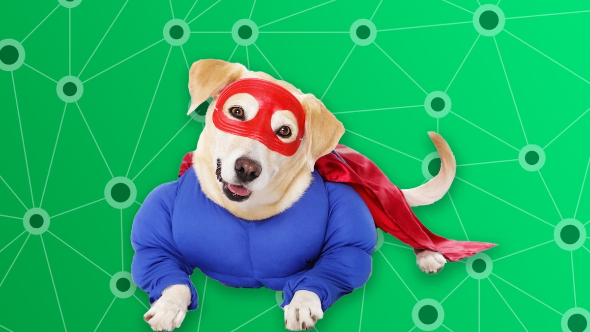 Which history hero best matches your personality? | National Geographic ...