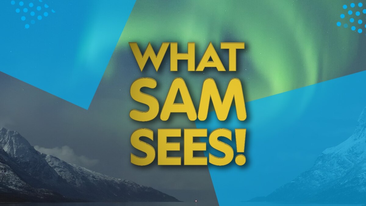 What Sam Sees | National Geographic Kids