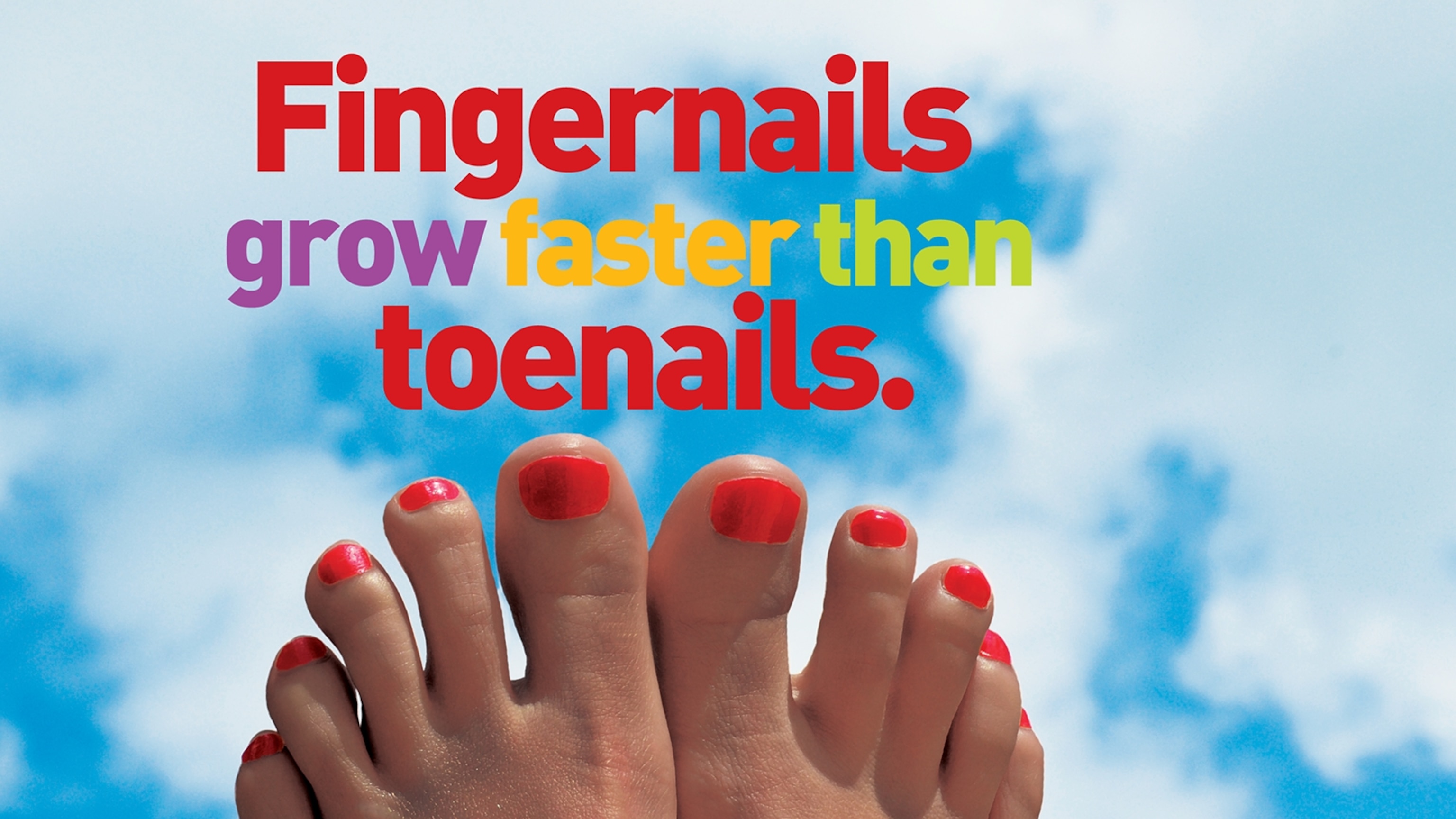 Weird But True!: Human Body 2