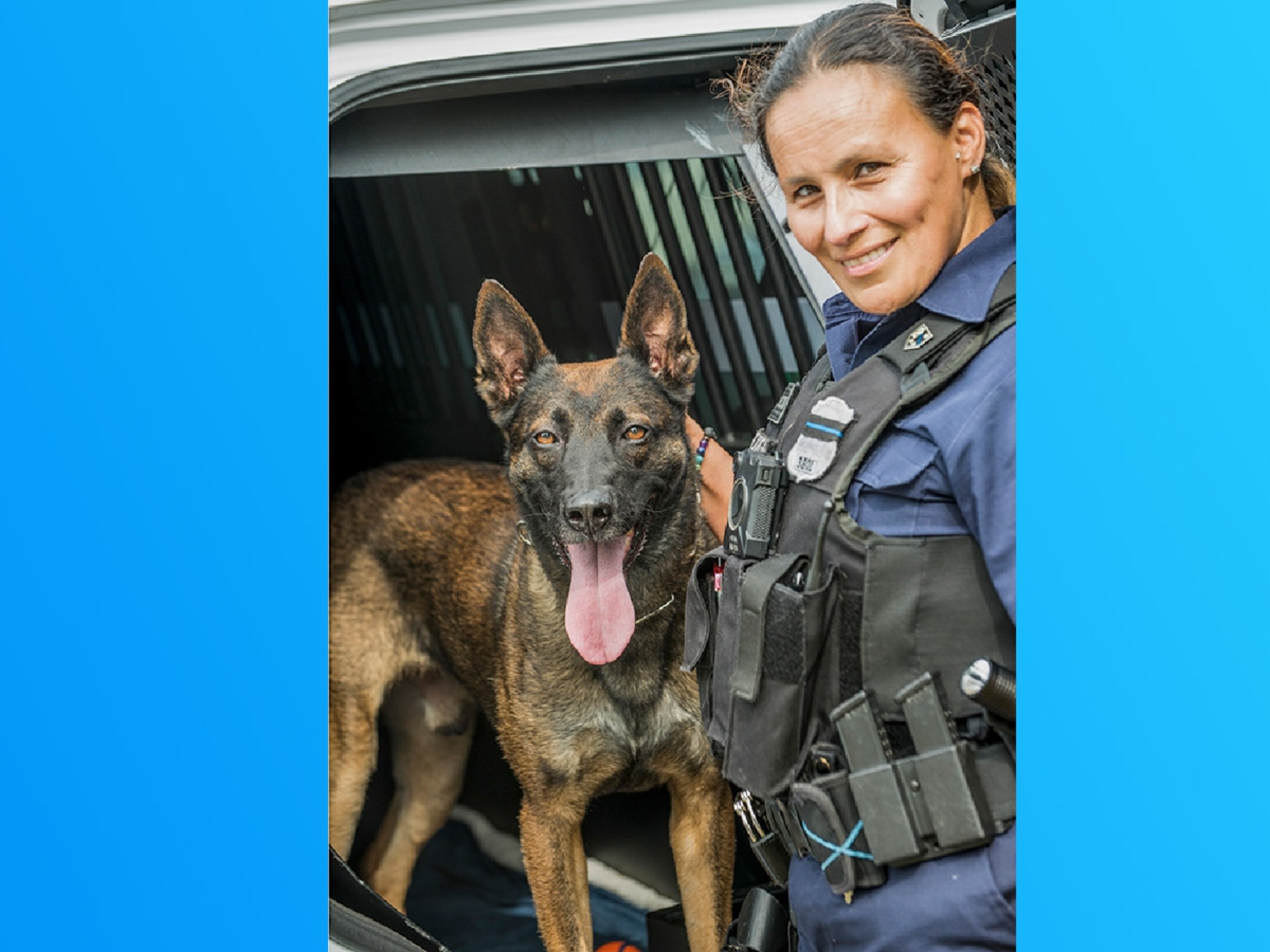 Are There Female Police Dogs