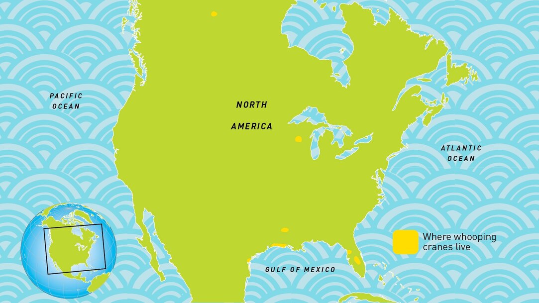 Whooping Crane Habitat Map