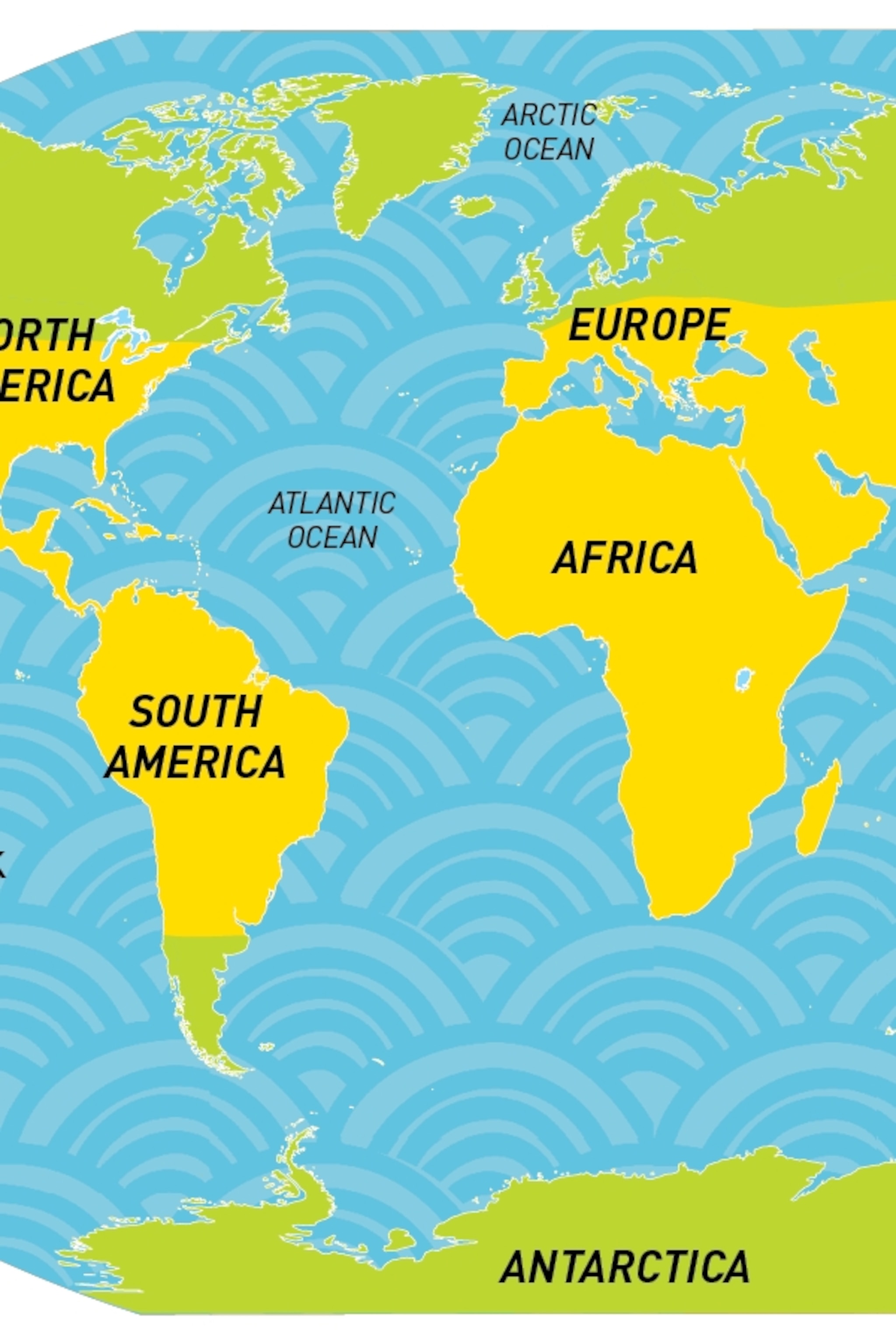 Where Do Stick Insects Live In The World Map Quiz - Infoupdate.org