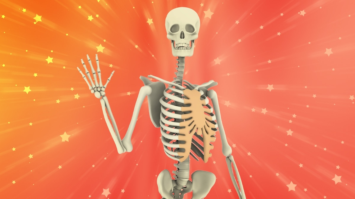 Anatomy quiz | National Geographic Kids