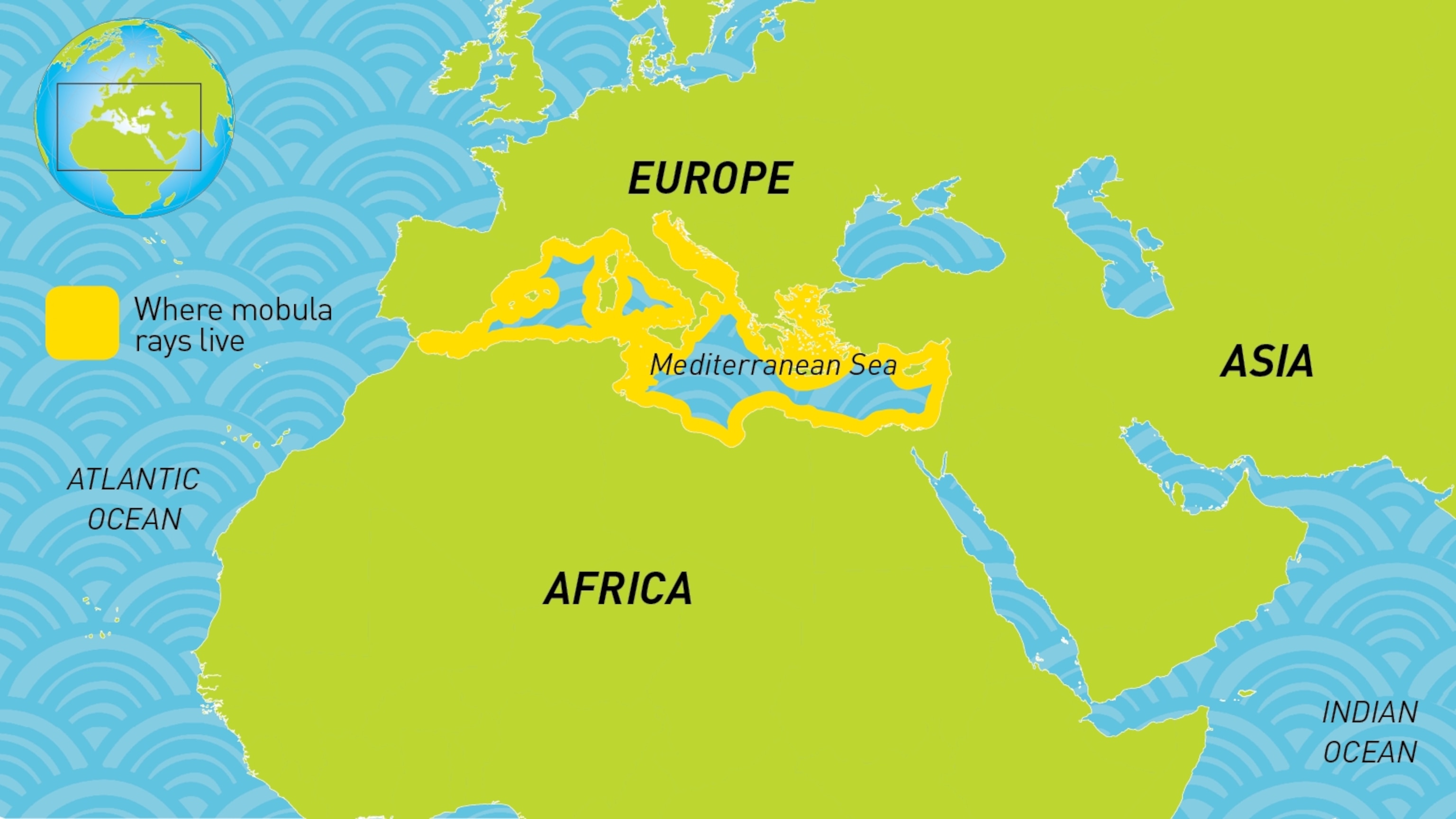 Manta Ray Habitat Map