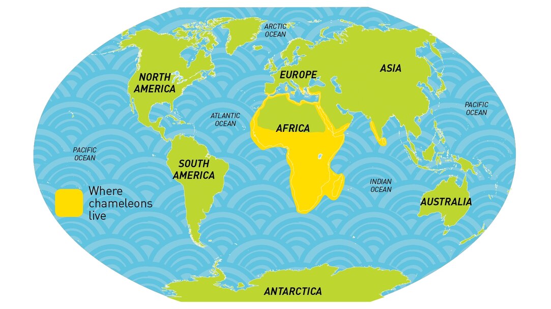 Maps Of The World To Print And Download Chameleon Web Services