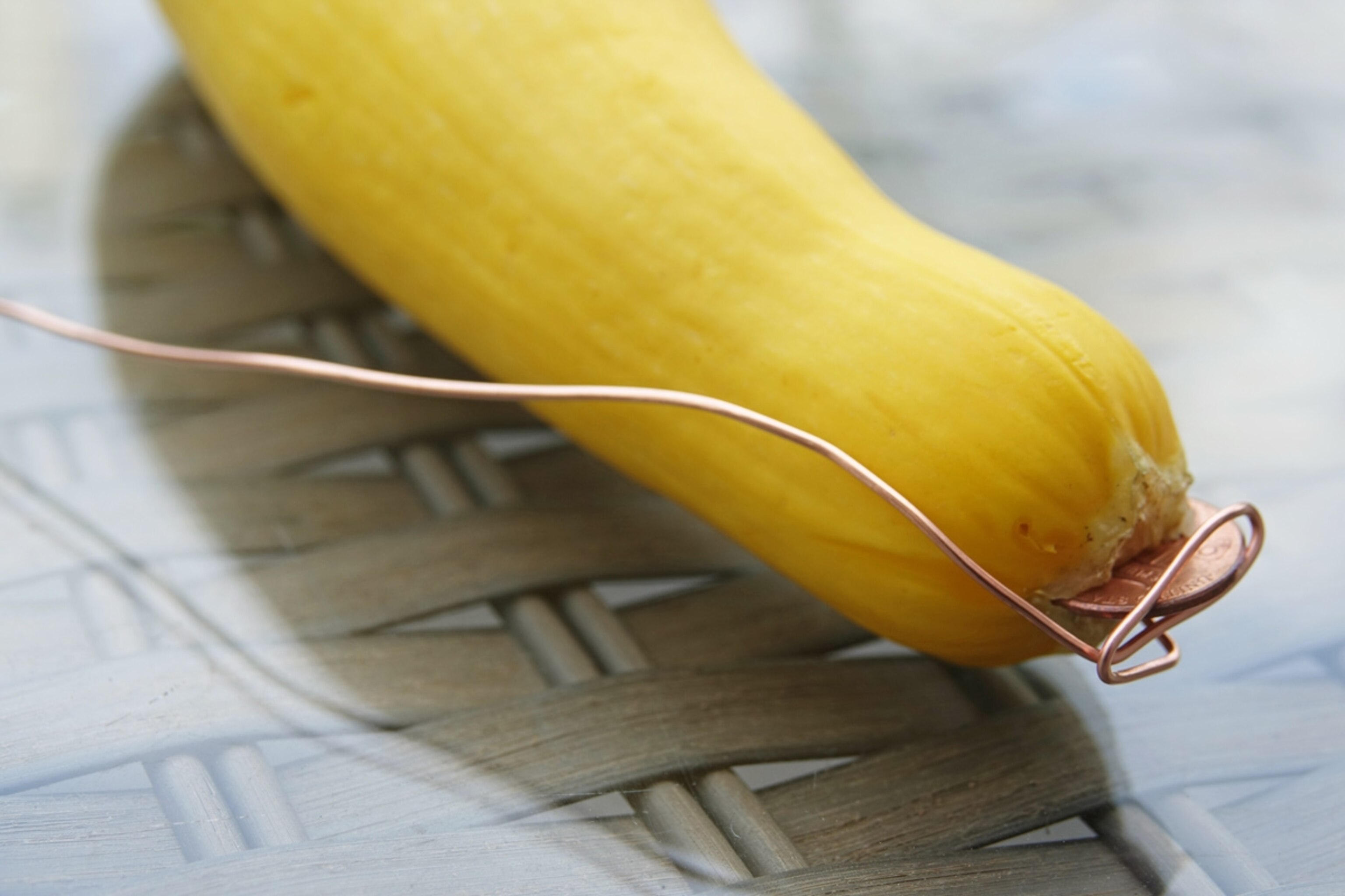 Science experiments that will feed your kids’ brains