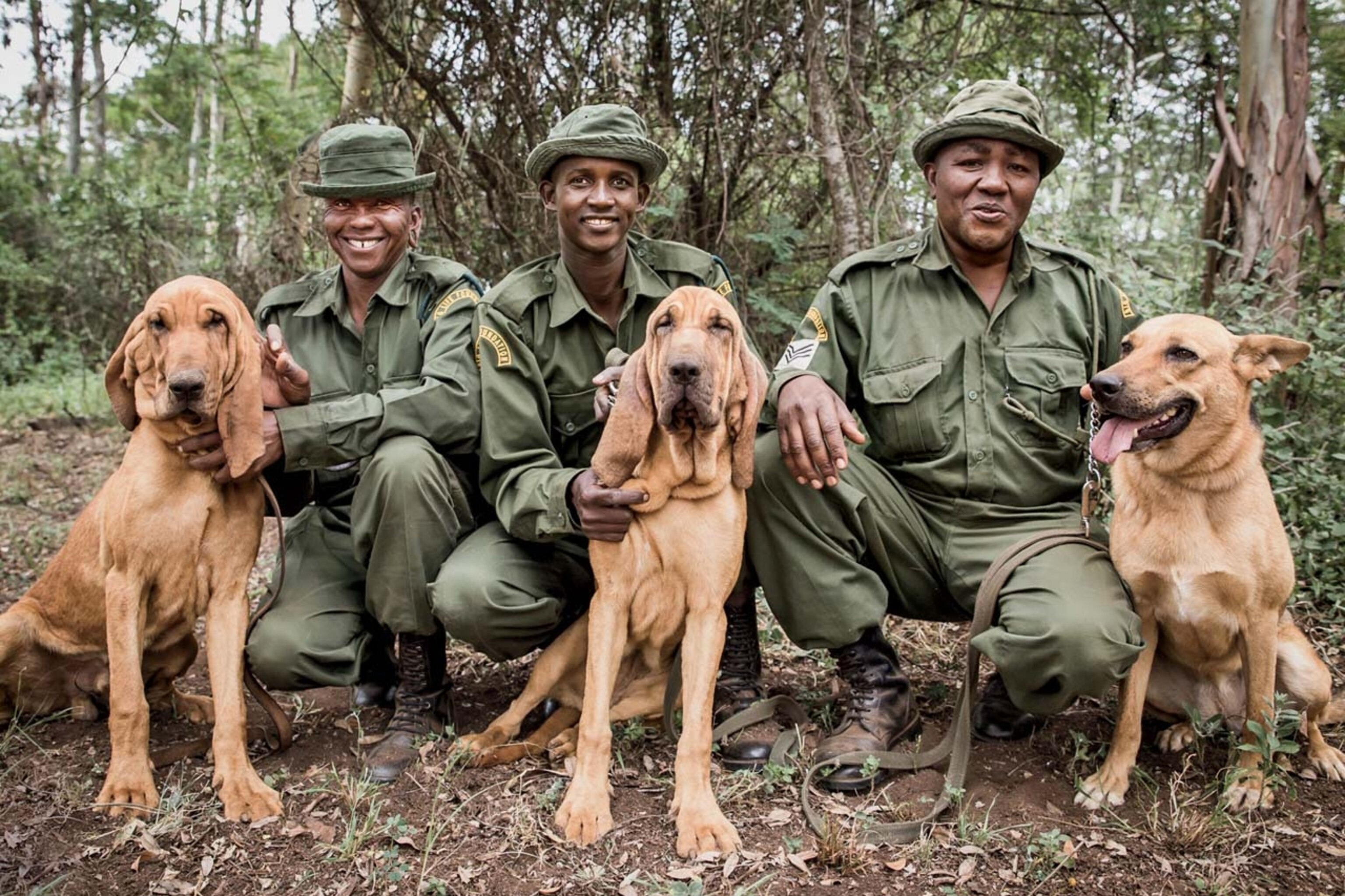 5 animals that will inspire your kid