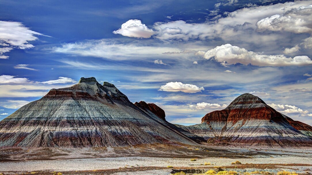 How The Petrified Forest National Park Was Made What Is Petrified