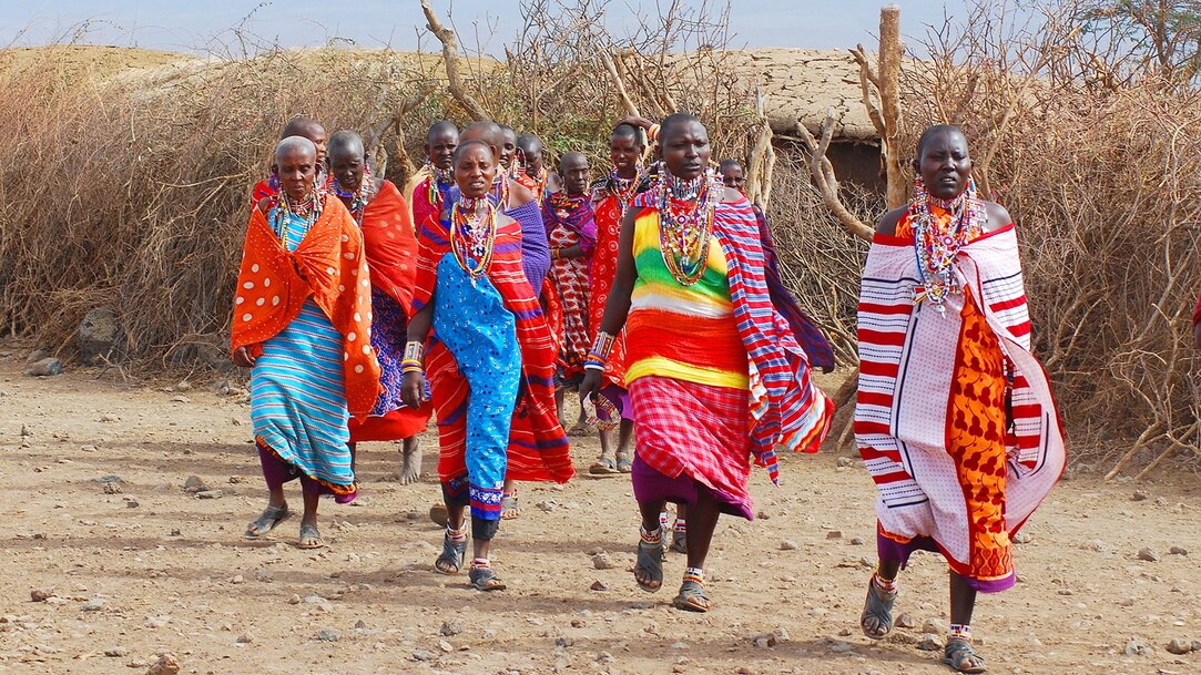 African Savanna People