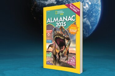 Almanac 2025