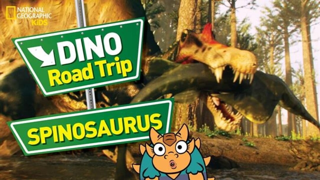 7 Pics Spinosaurus Facts For Kids And Description Alqu Blog