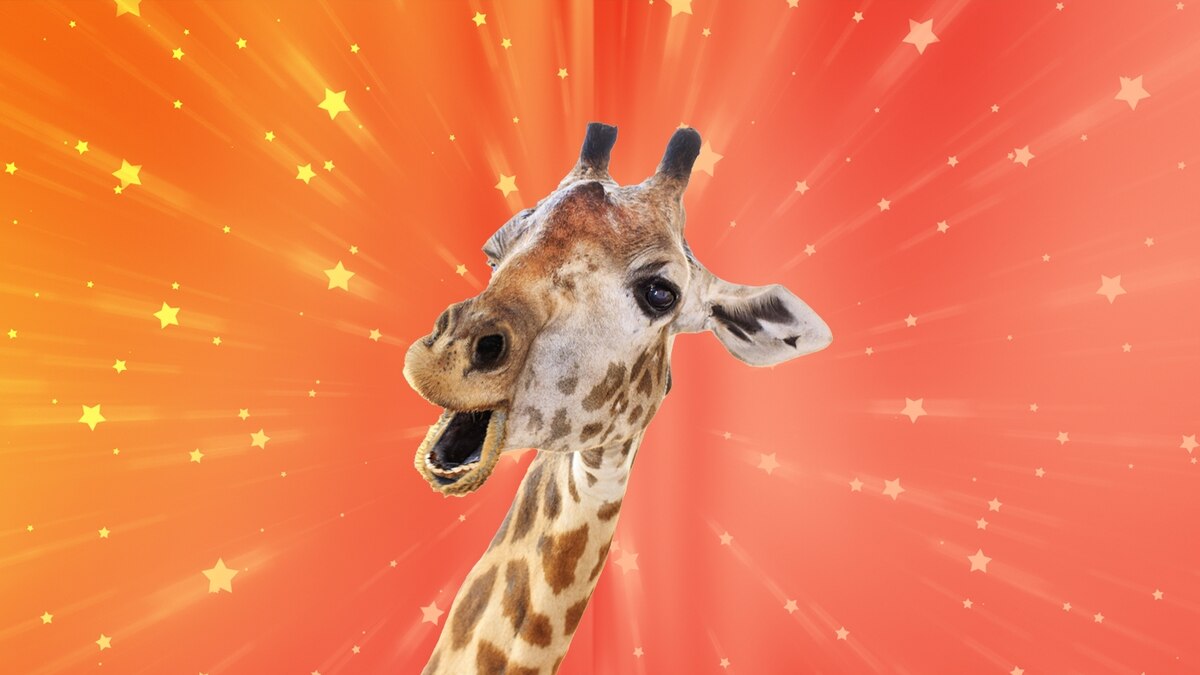 Giraffes | National Geographic Kids