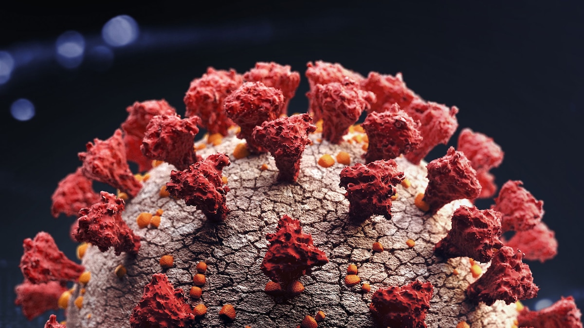 Coronavirus glossary | National Geographic Kids