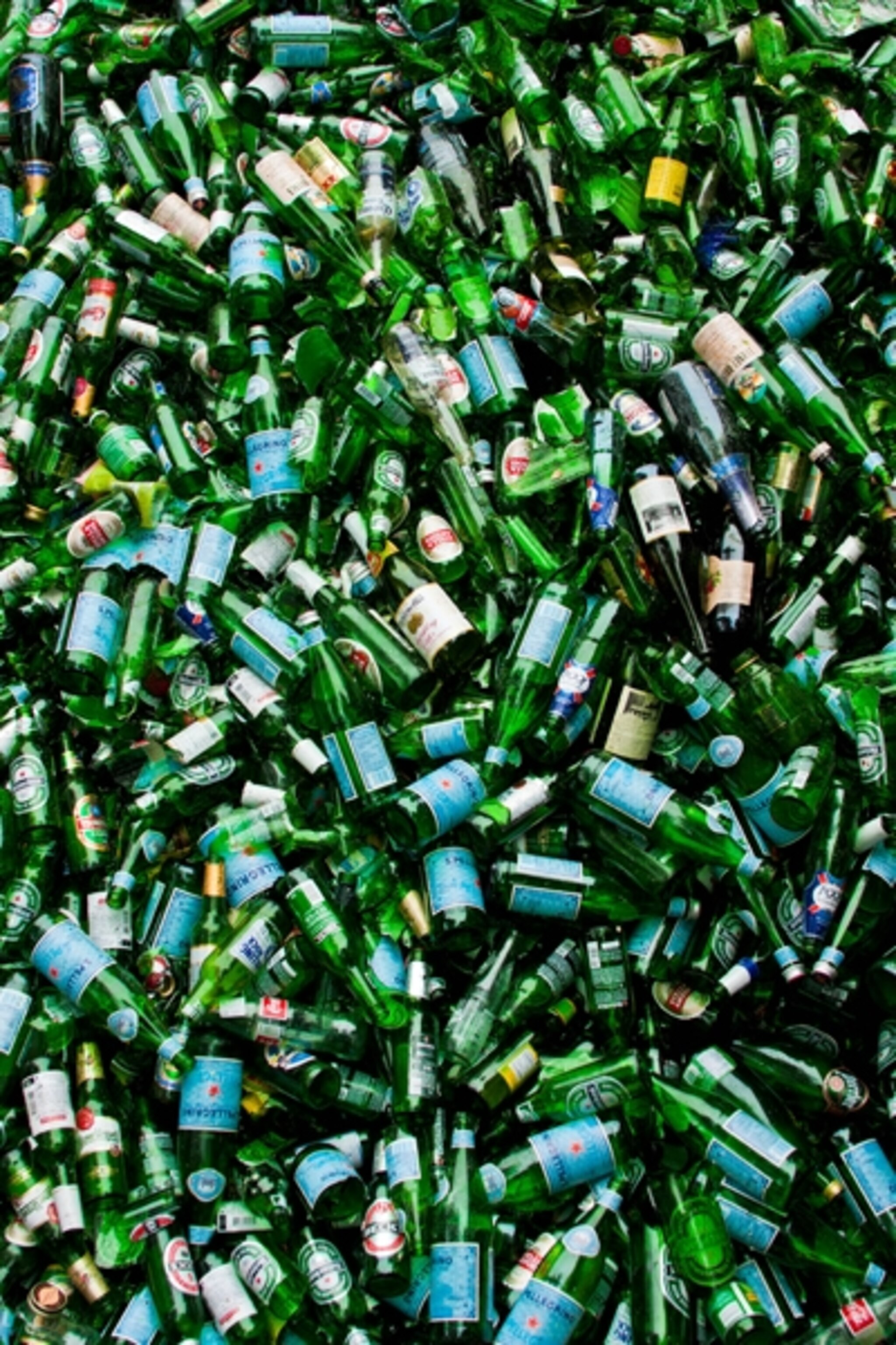 Earth Day Pictures—National Geographic