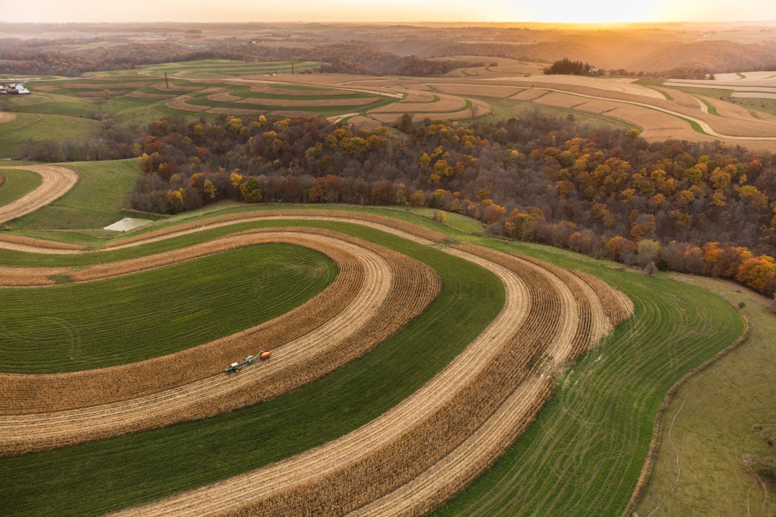 Organic farming: why we don’t have more organic farms