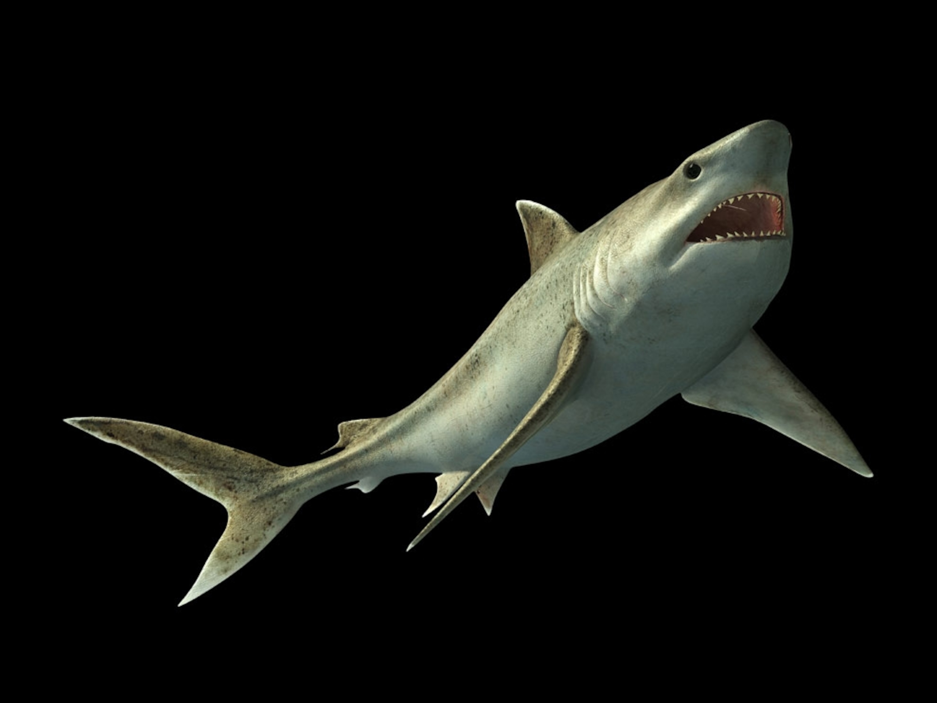 Prehistoric Sea Monster Pictures - National Geographic