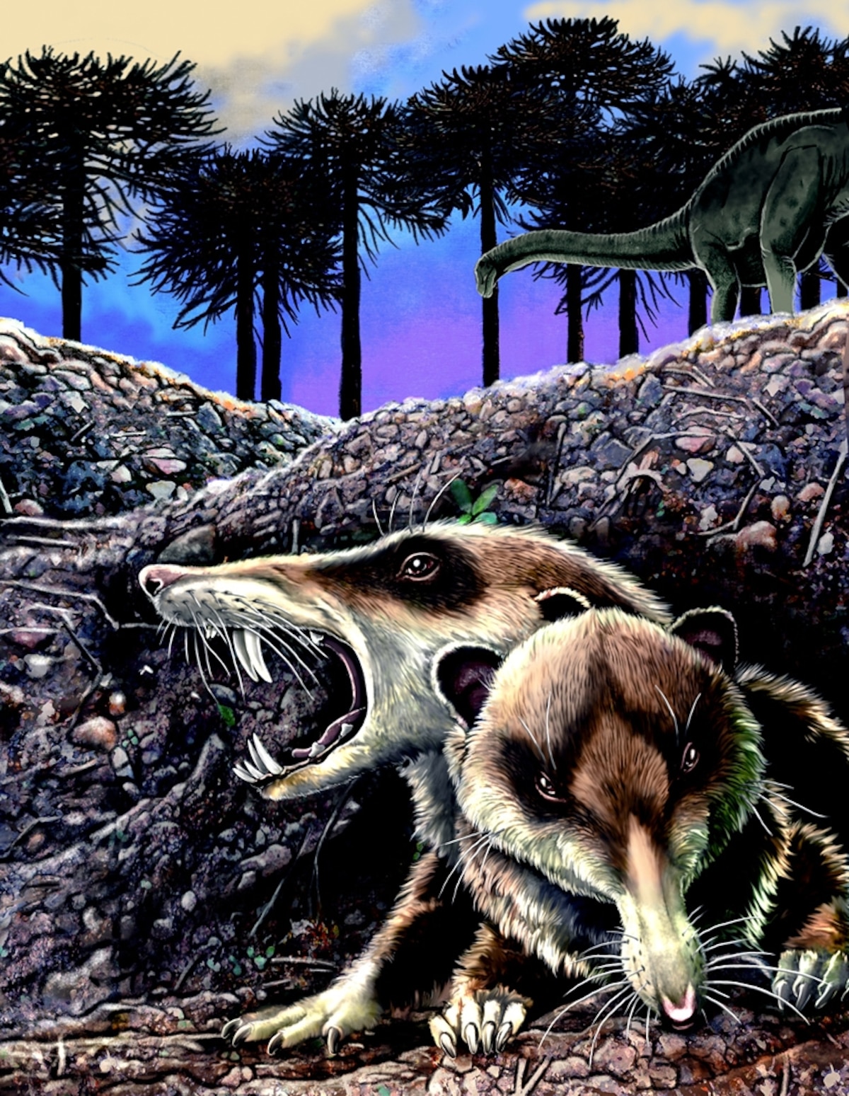 Ancient "Saber-Toothed Squirrel" Found