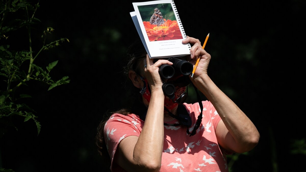 Americans are observing nature during the pandemic, helping scientists ...
