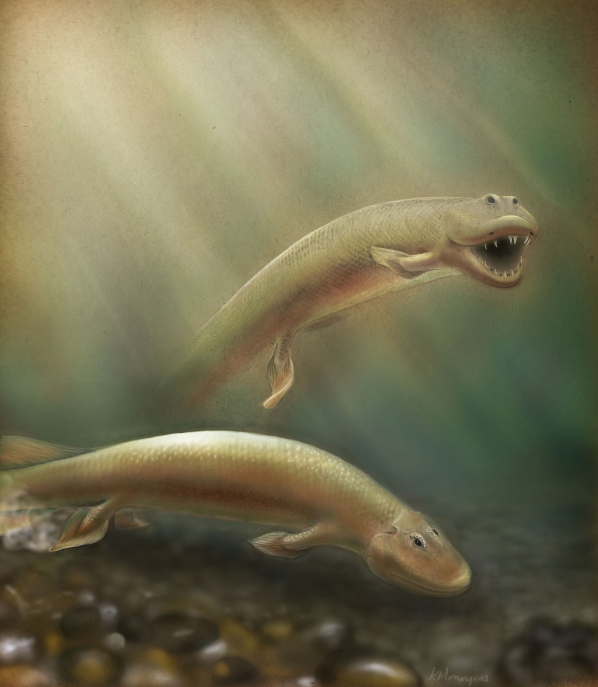 Q&A: Neil Shubin Explores "Your Inner Fish"