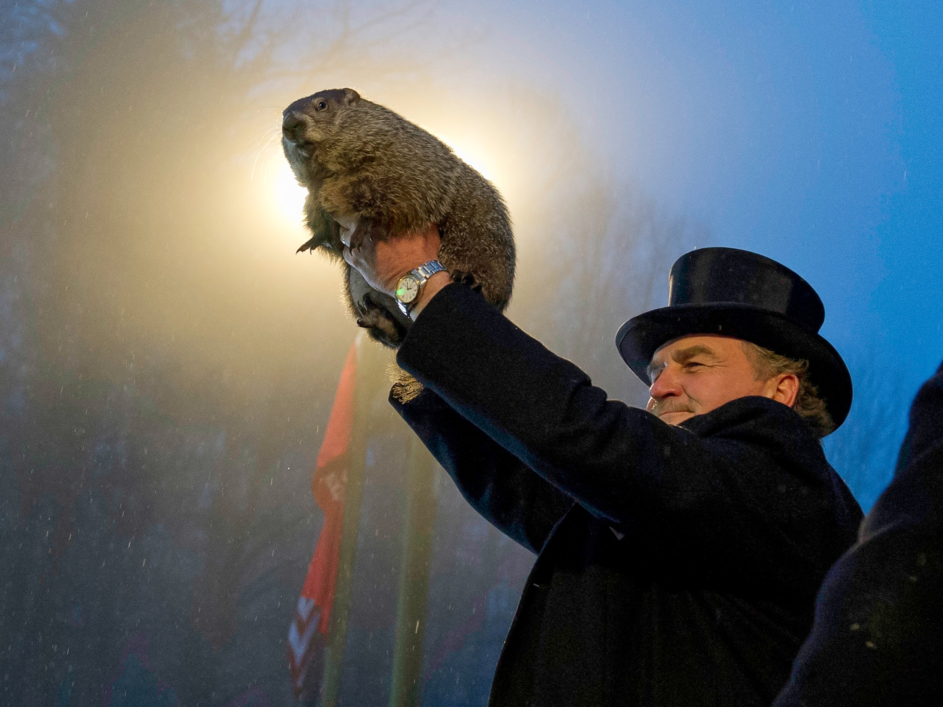 Groundhogs Aren't Looking for Their Shadow—They're Scoping Out the ...