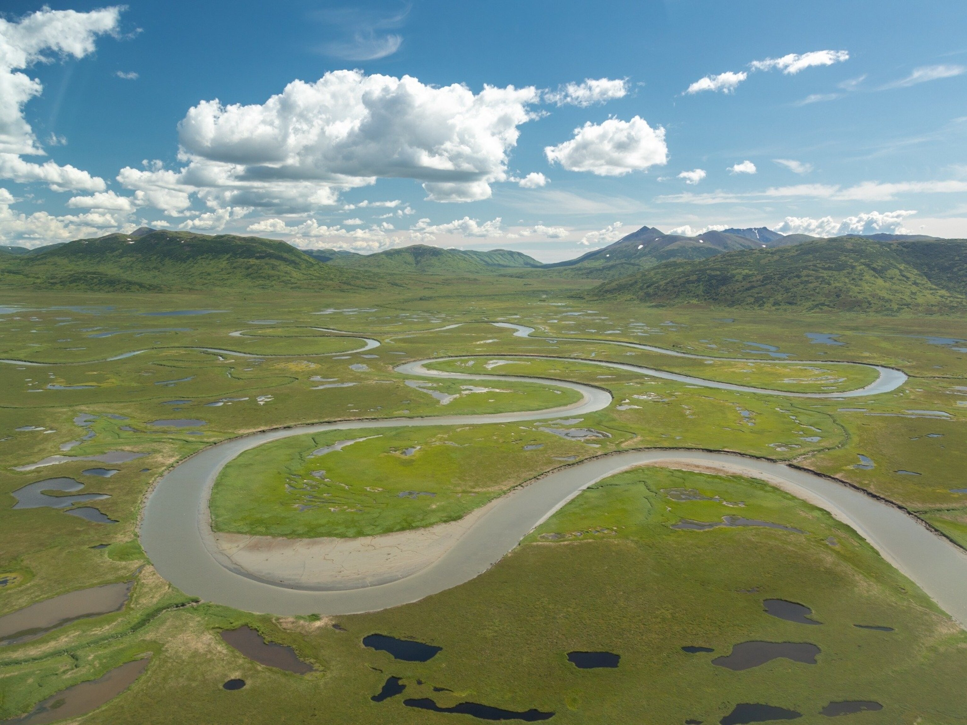 The isolated Alaska island where walruses sing