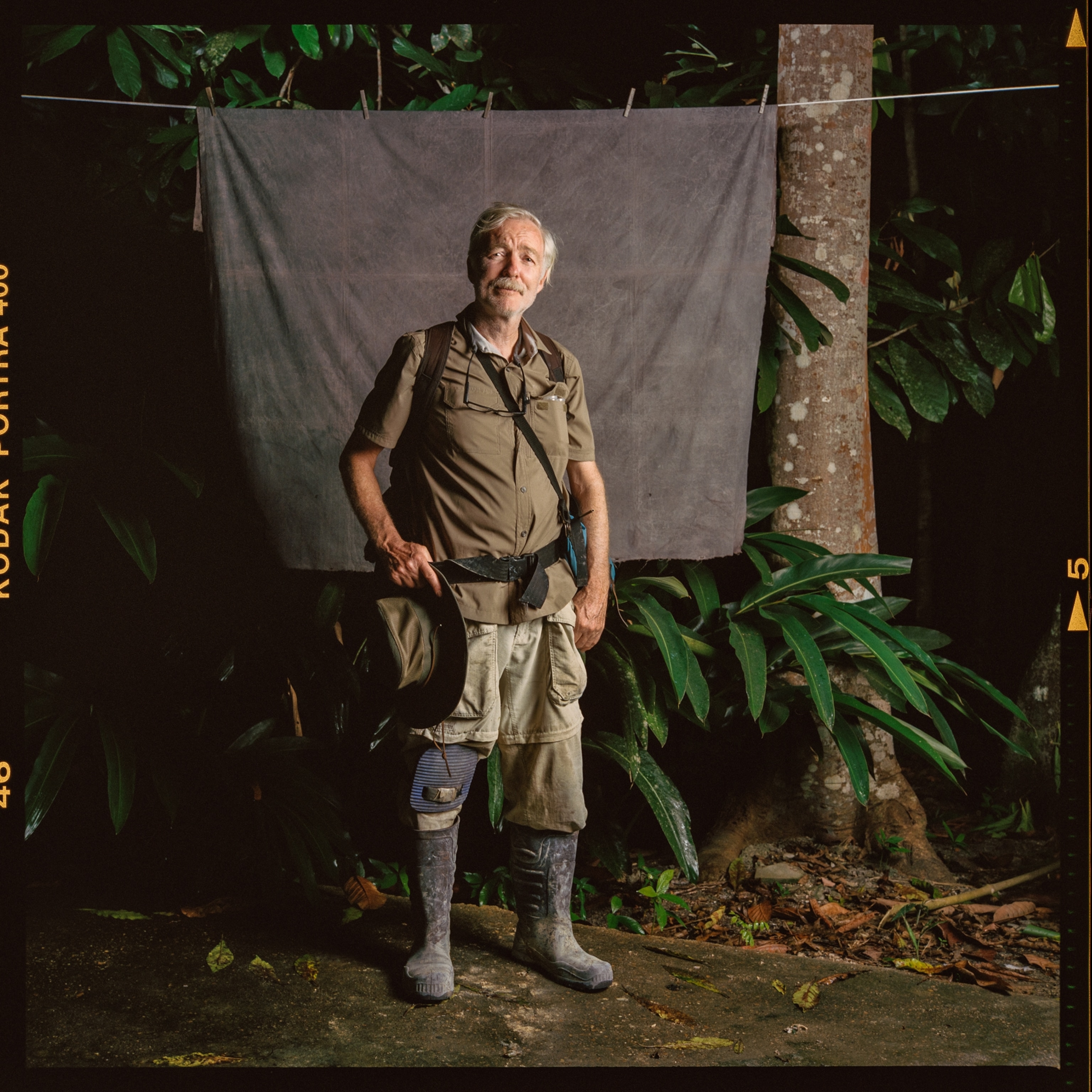 Hundreds of new and unusual insects discovered in the Amazon’s canopy