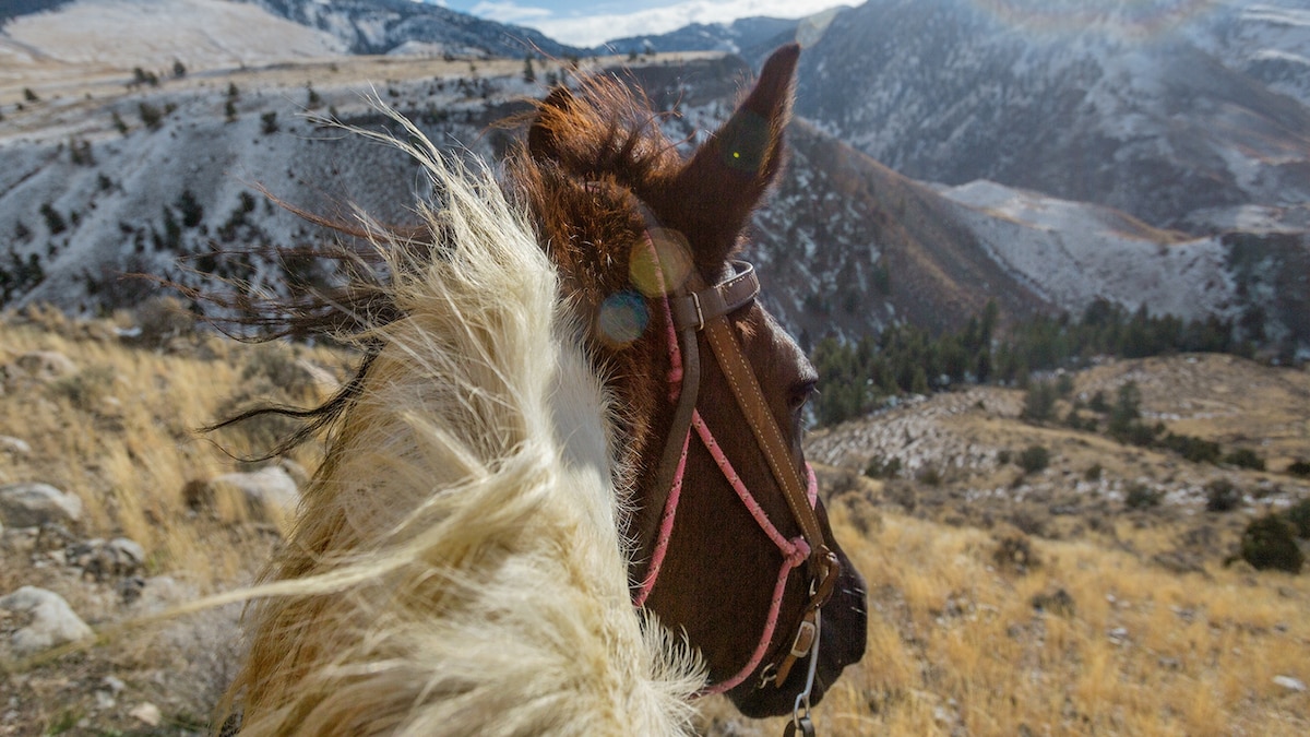 The Best Things to Do in Yellowstone | National Geographic