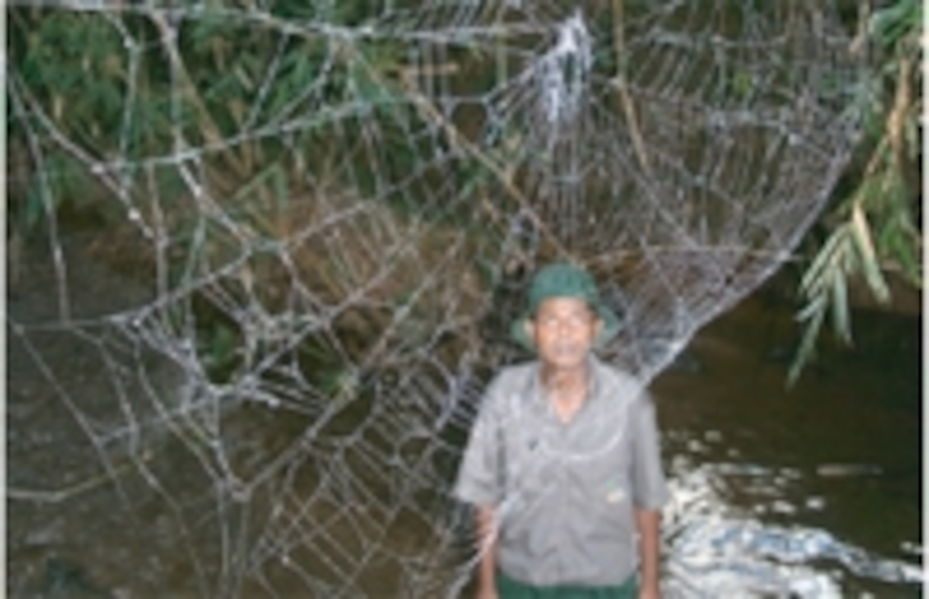 NERS Review of the Year Part 2 – Animals bring the awe | National ...