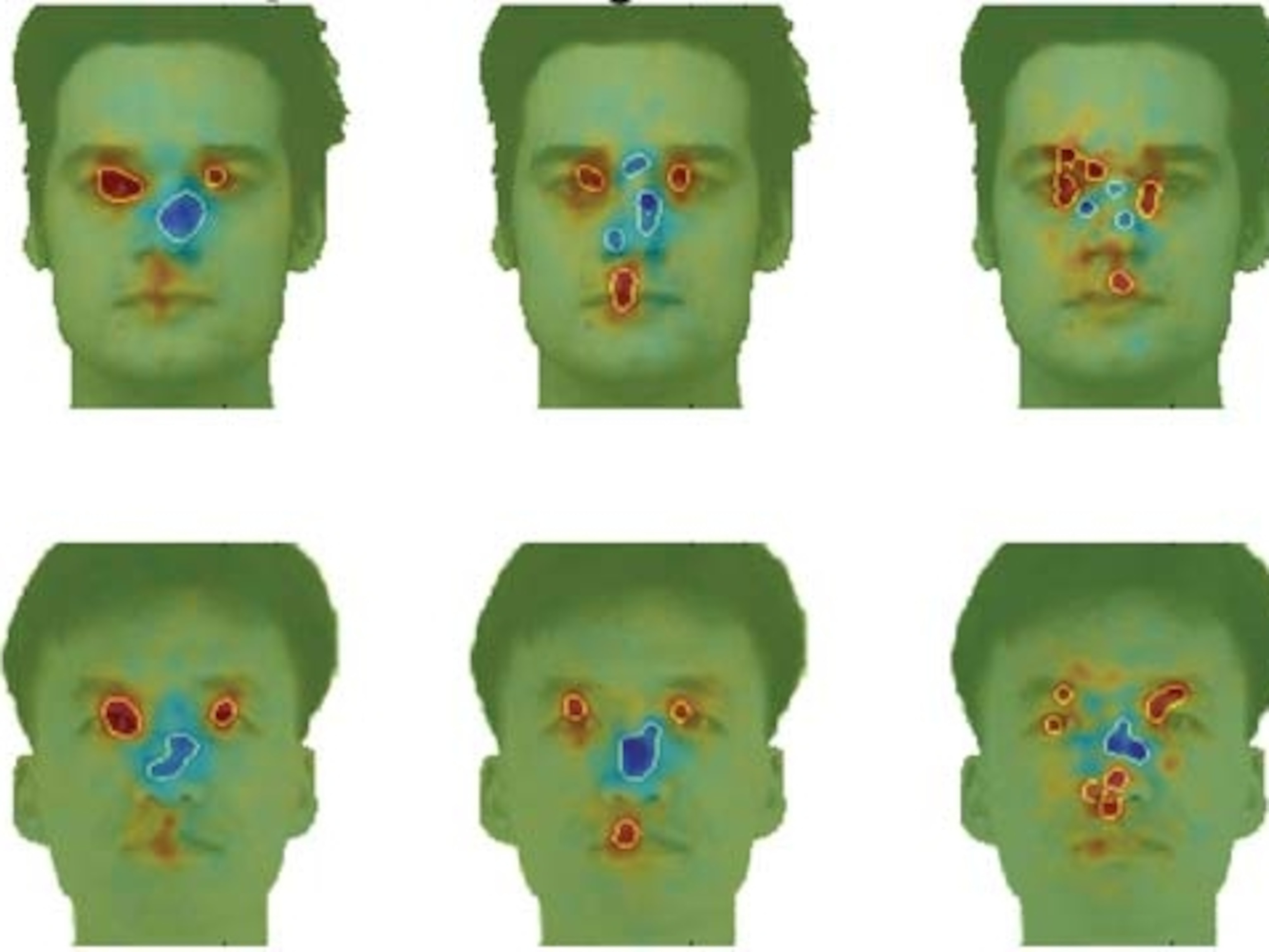 Westerners Focus on the Eyes, East Asians on the Nose