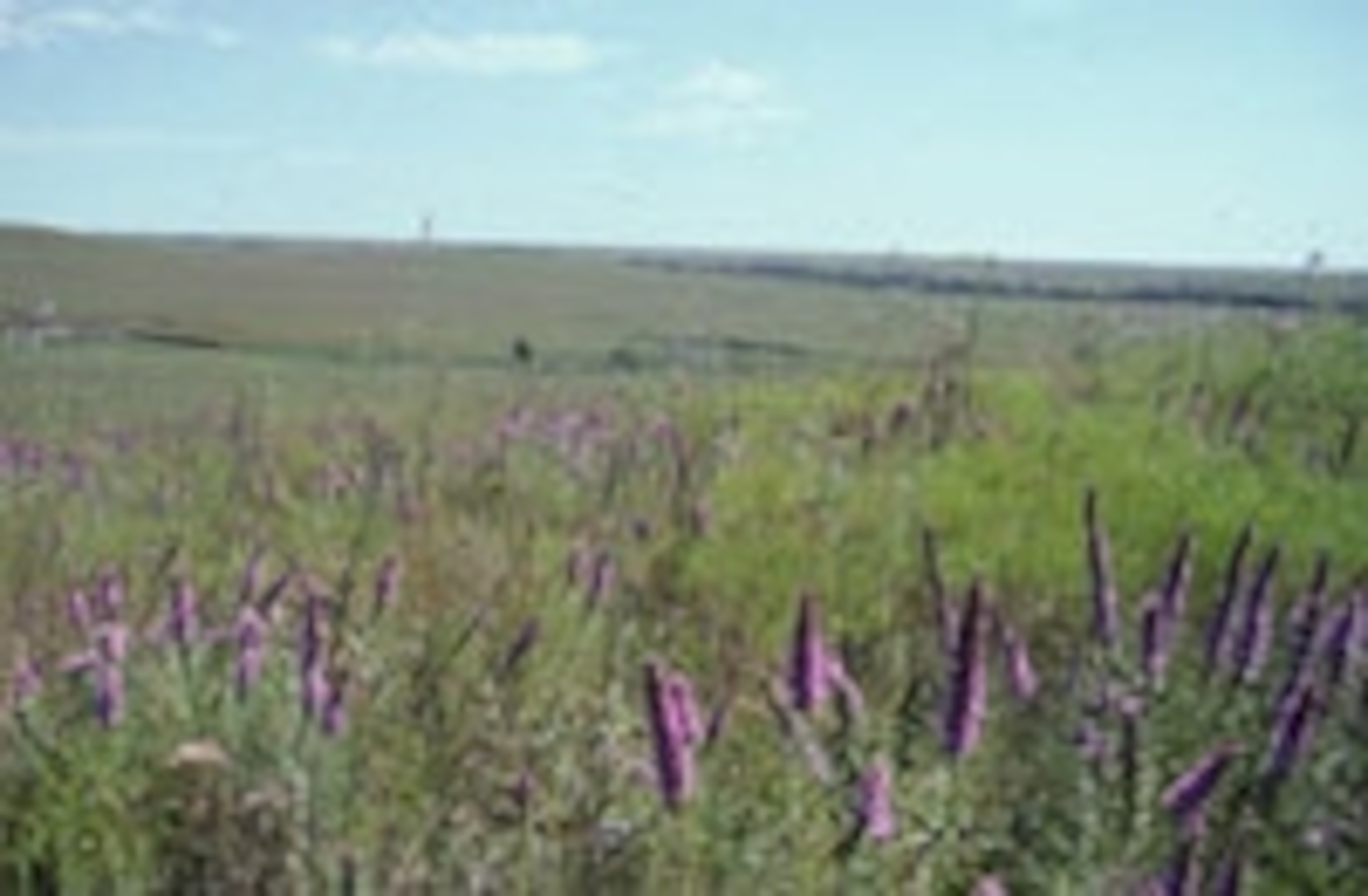 Senior Editor on the Prairie | National Geographic