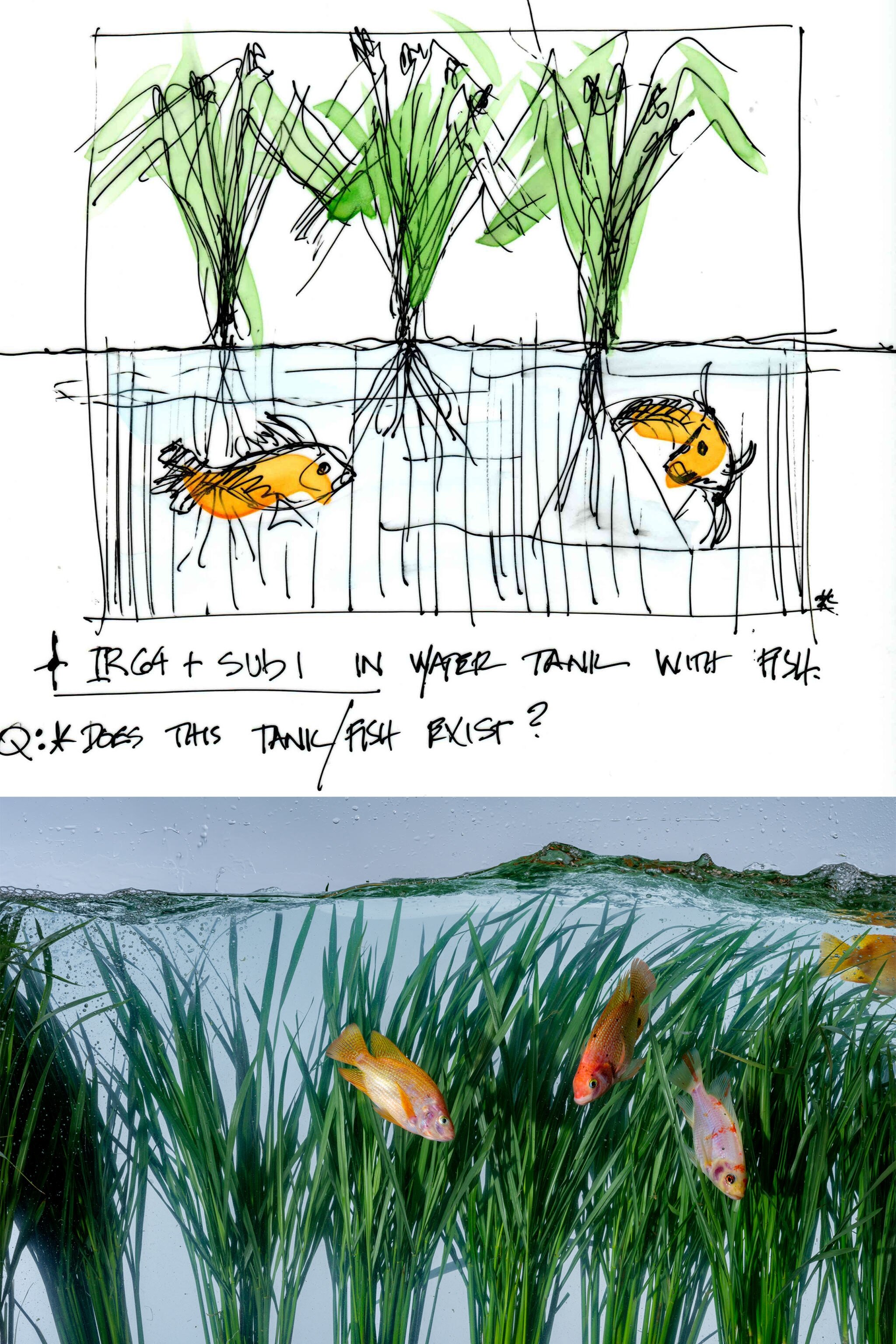 The Photographic Sketchpad: Craig Cutler Brings Science to Life