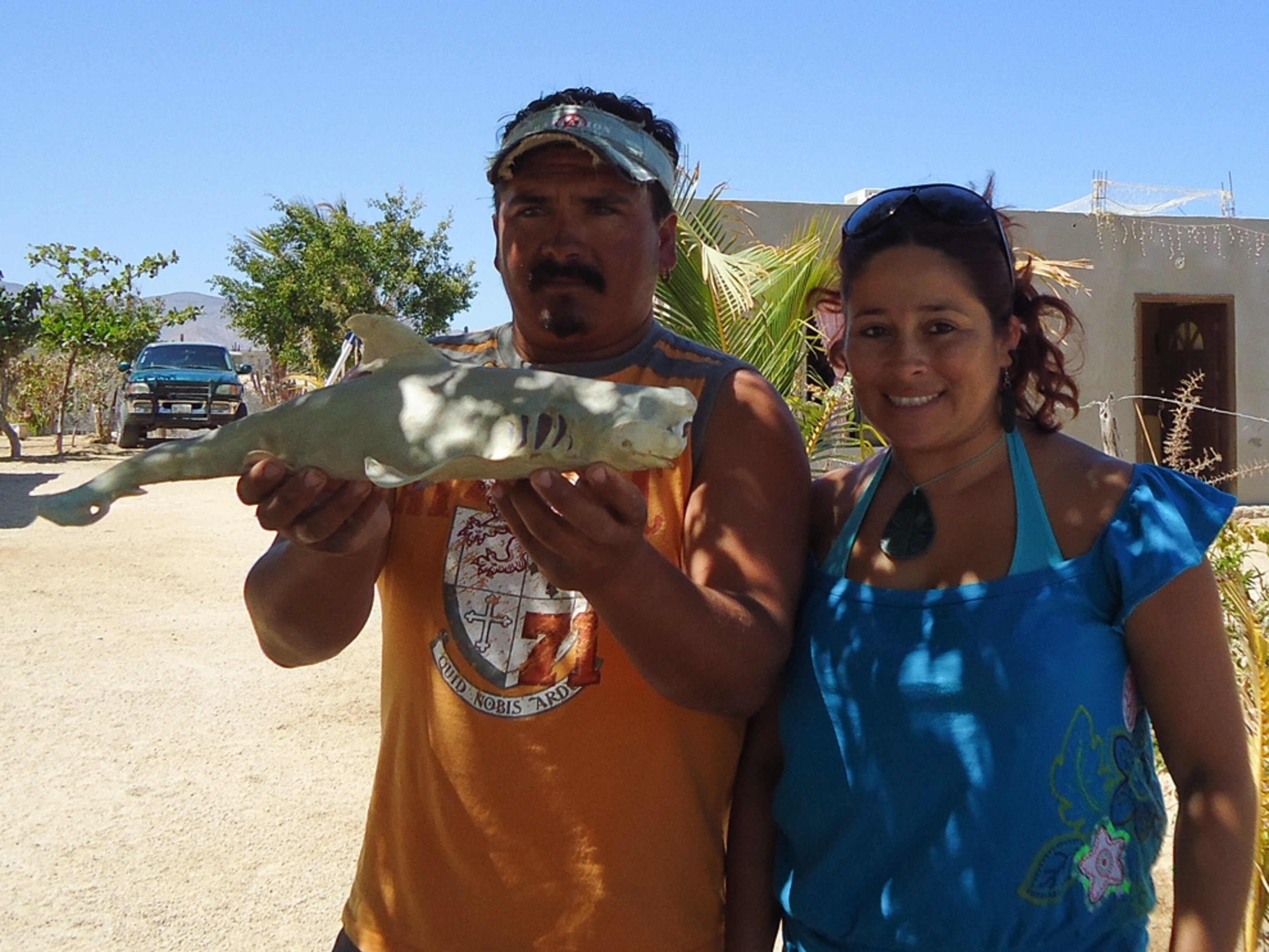 Pictures: Rare "Cyclops" Shark Found
