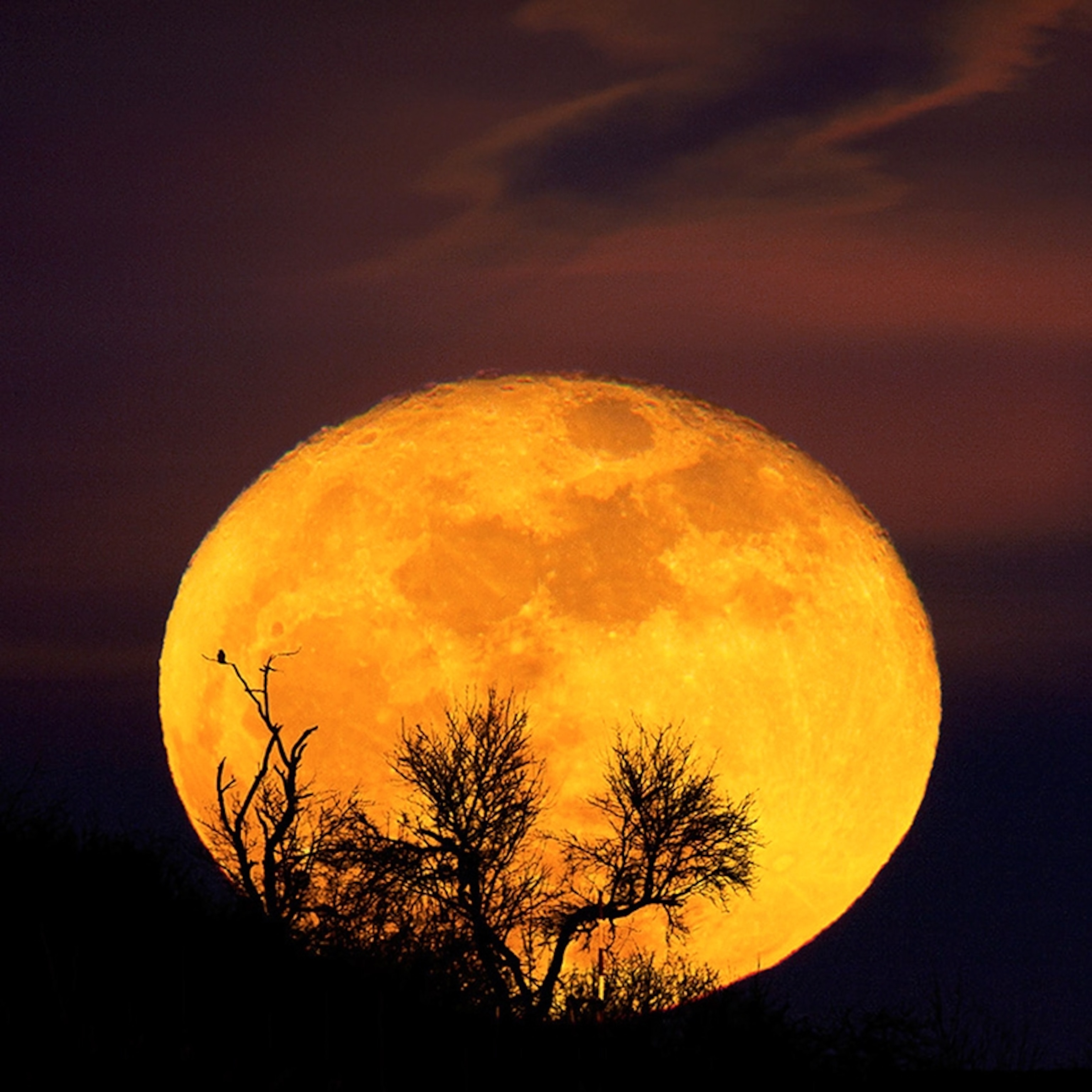 Space Photos This Week: Full Moon, Shuttle Docks, More