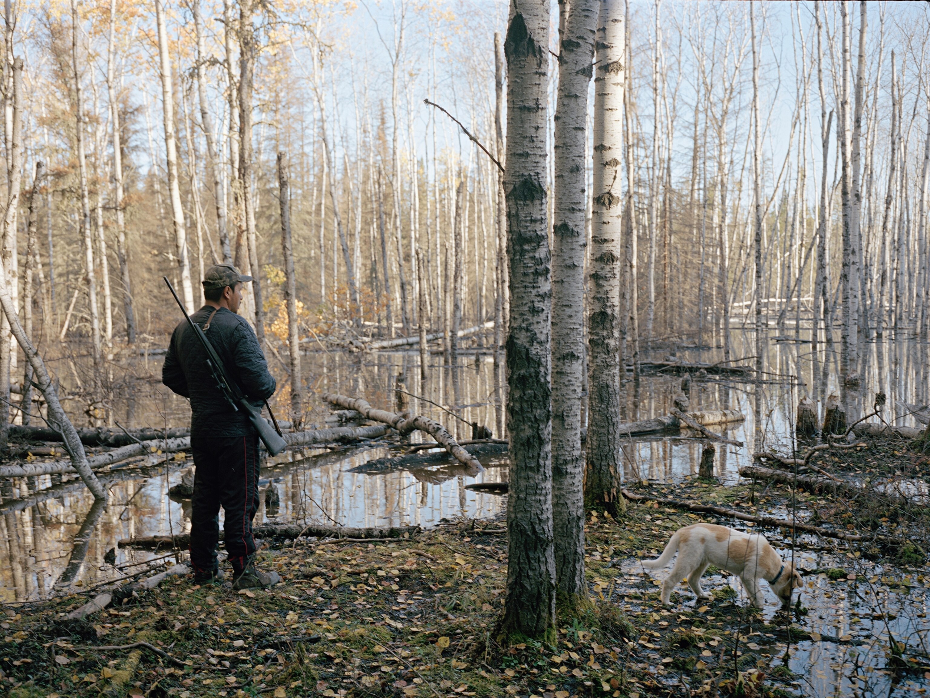 Canadian First Nations Seek to Protect Forest Homeland