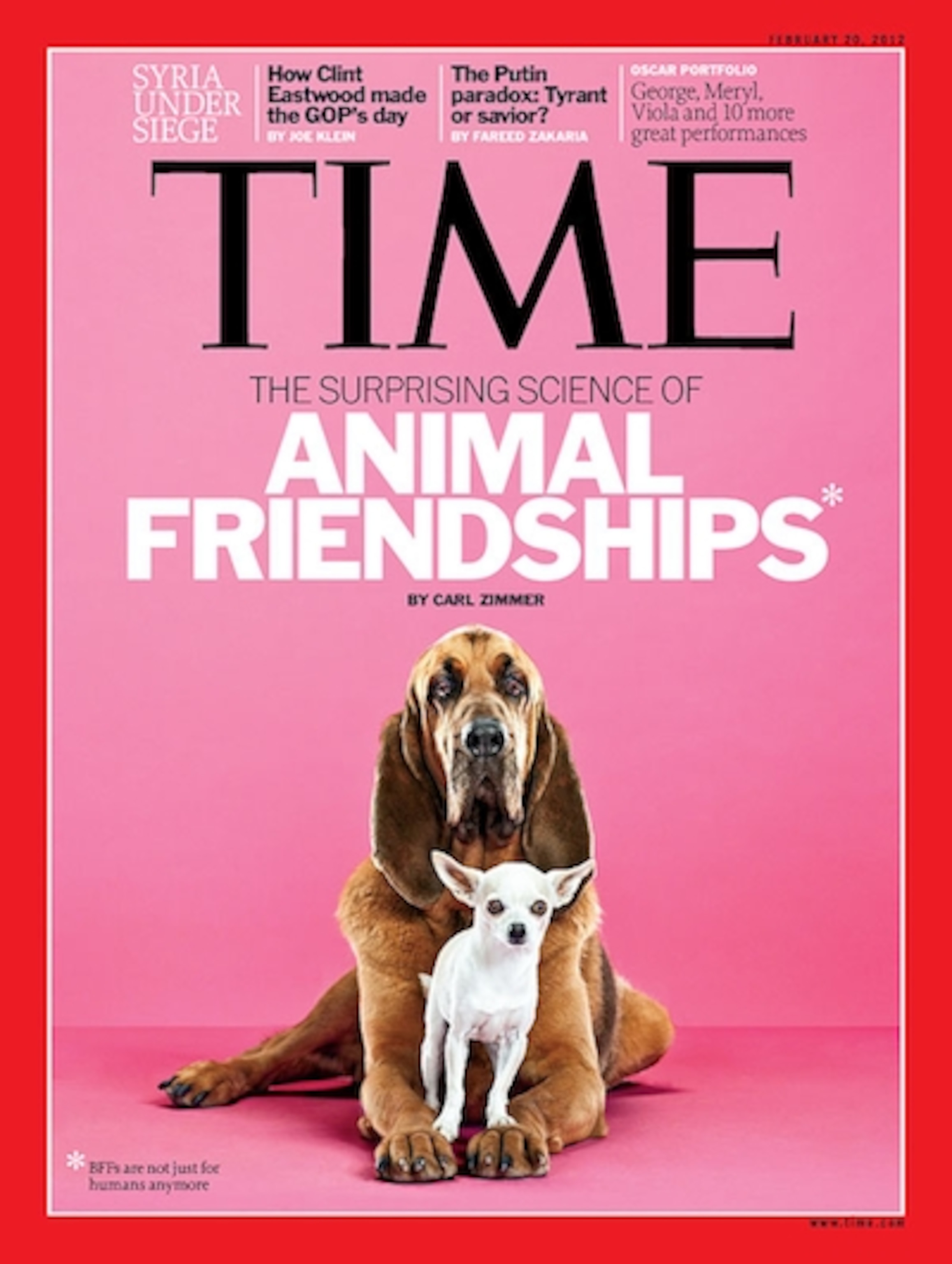 Time Magazine Cover Dog Magazine Covers
