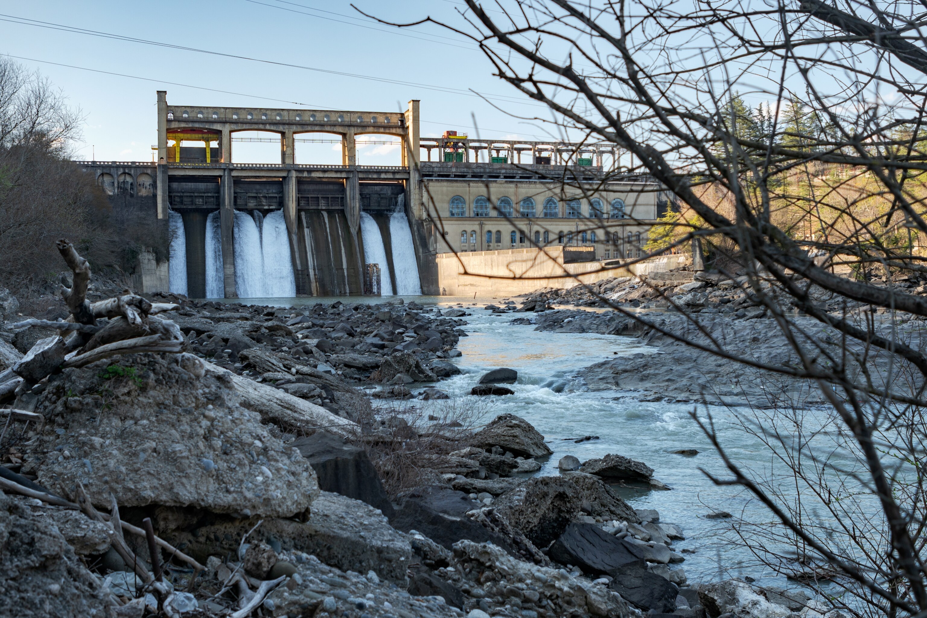 Critically endangered sturgeons threatened by proposed dams in Caucasus