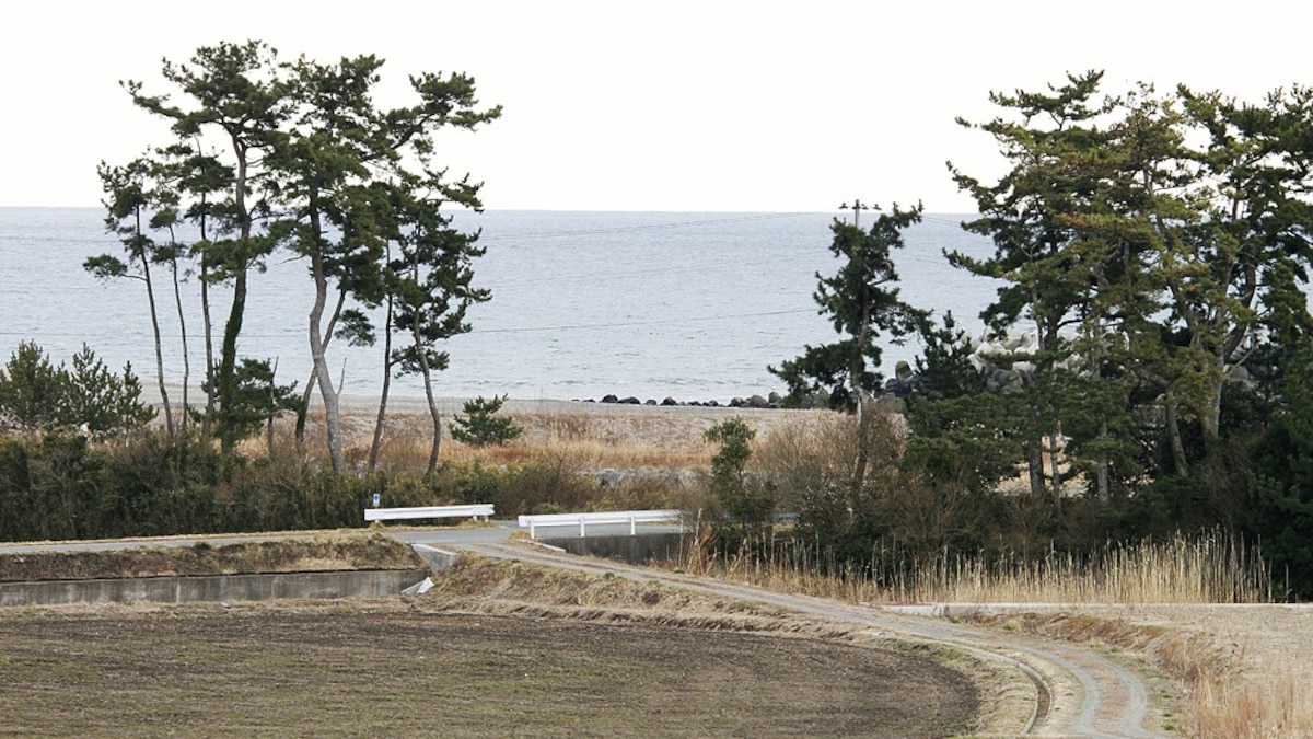 New Tsunami Pictures: Head-on View of Approaching Wave | National ...