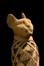What Were Mummified Cats Used For