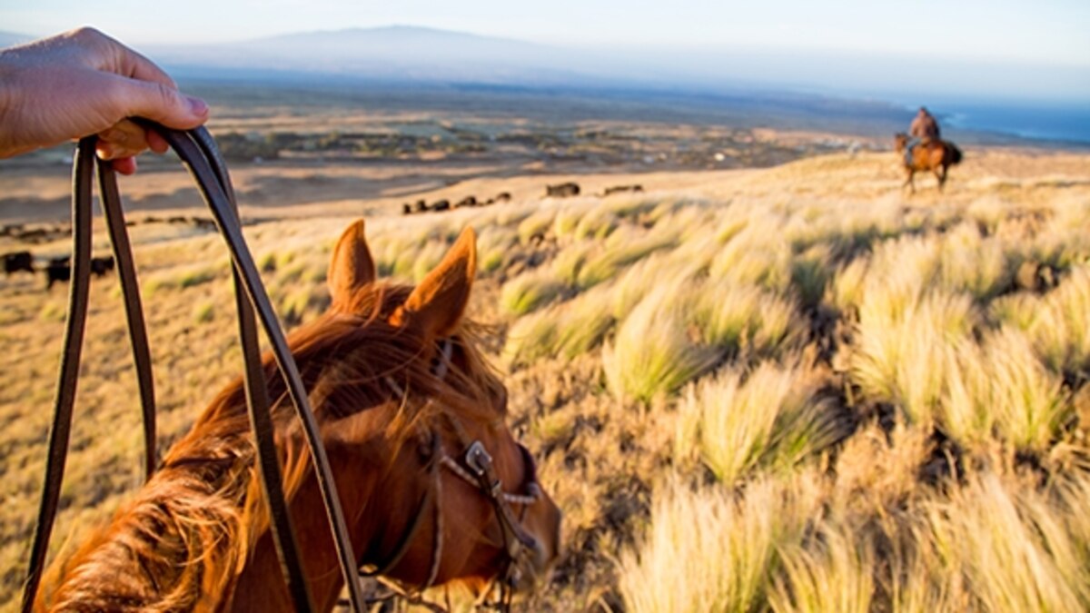 Home on the Ranch: Saddling Up With Hawaii’s Cowboys | National Geographic