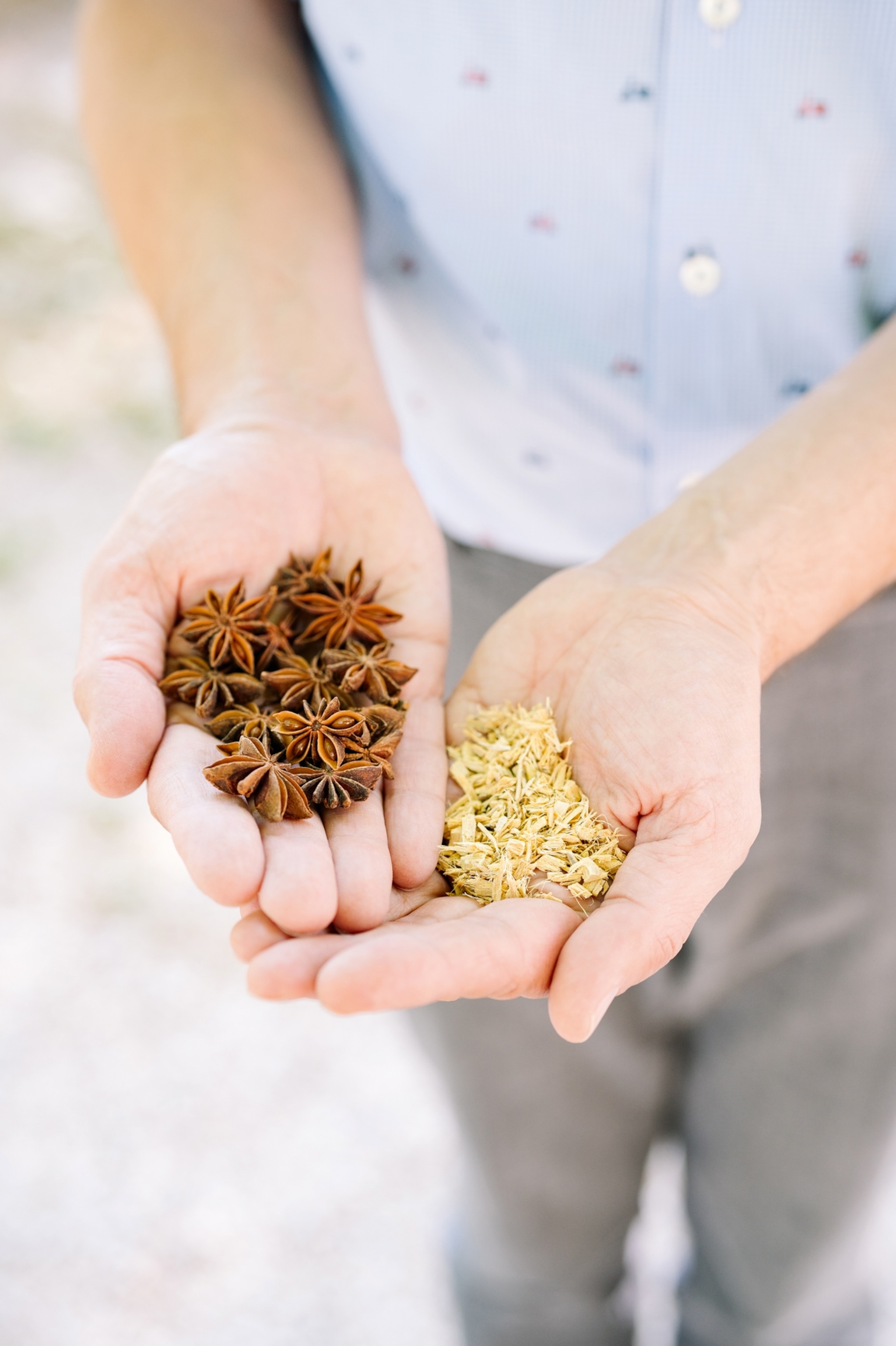 Pastis, an iconic French aperitif makes a comeback