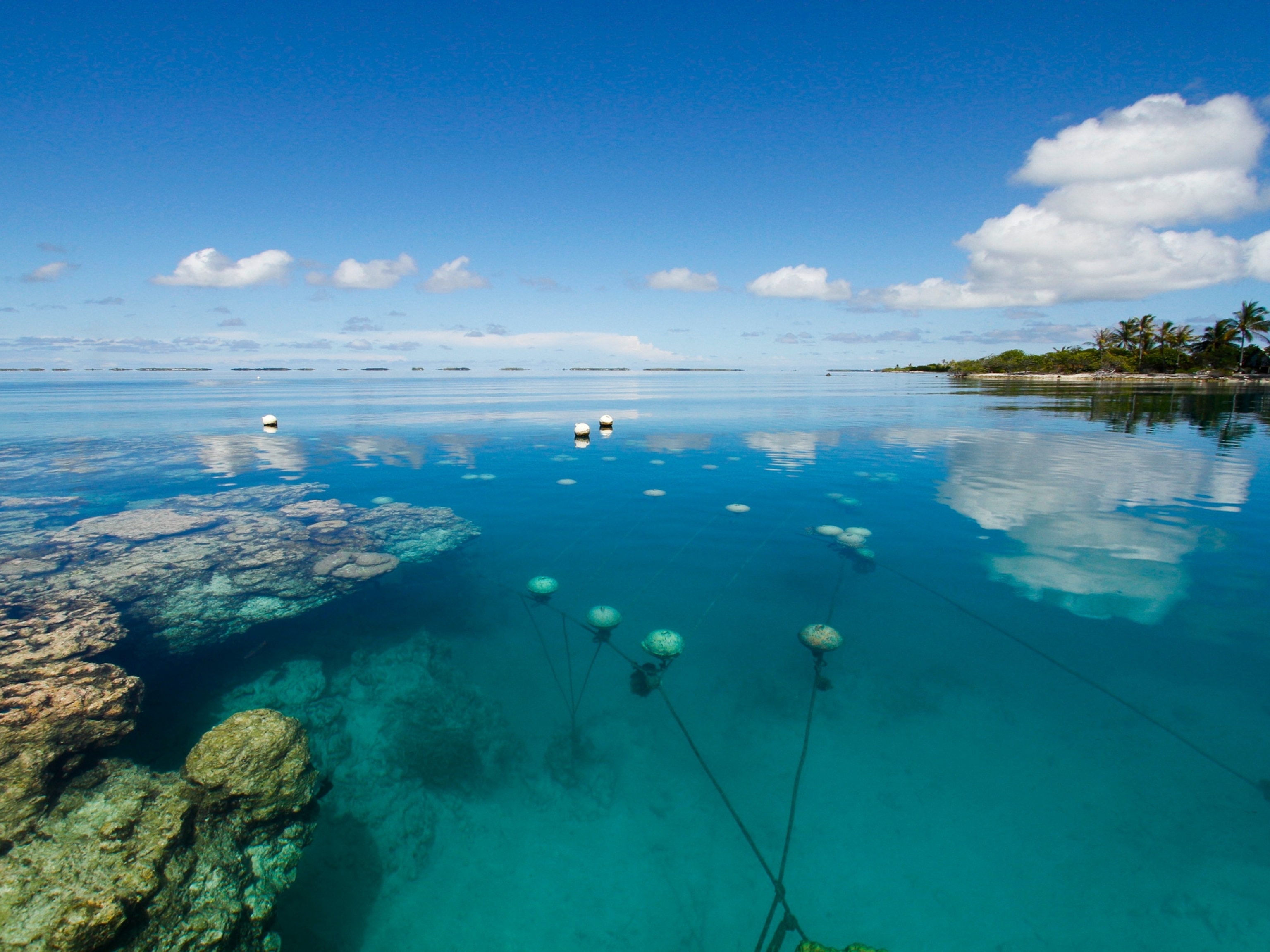 Pictures: Sustainable Pearl Farming