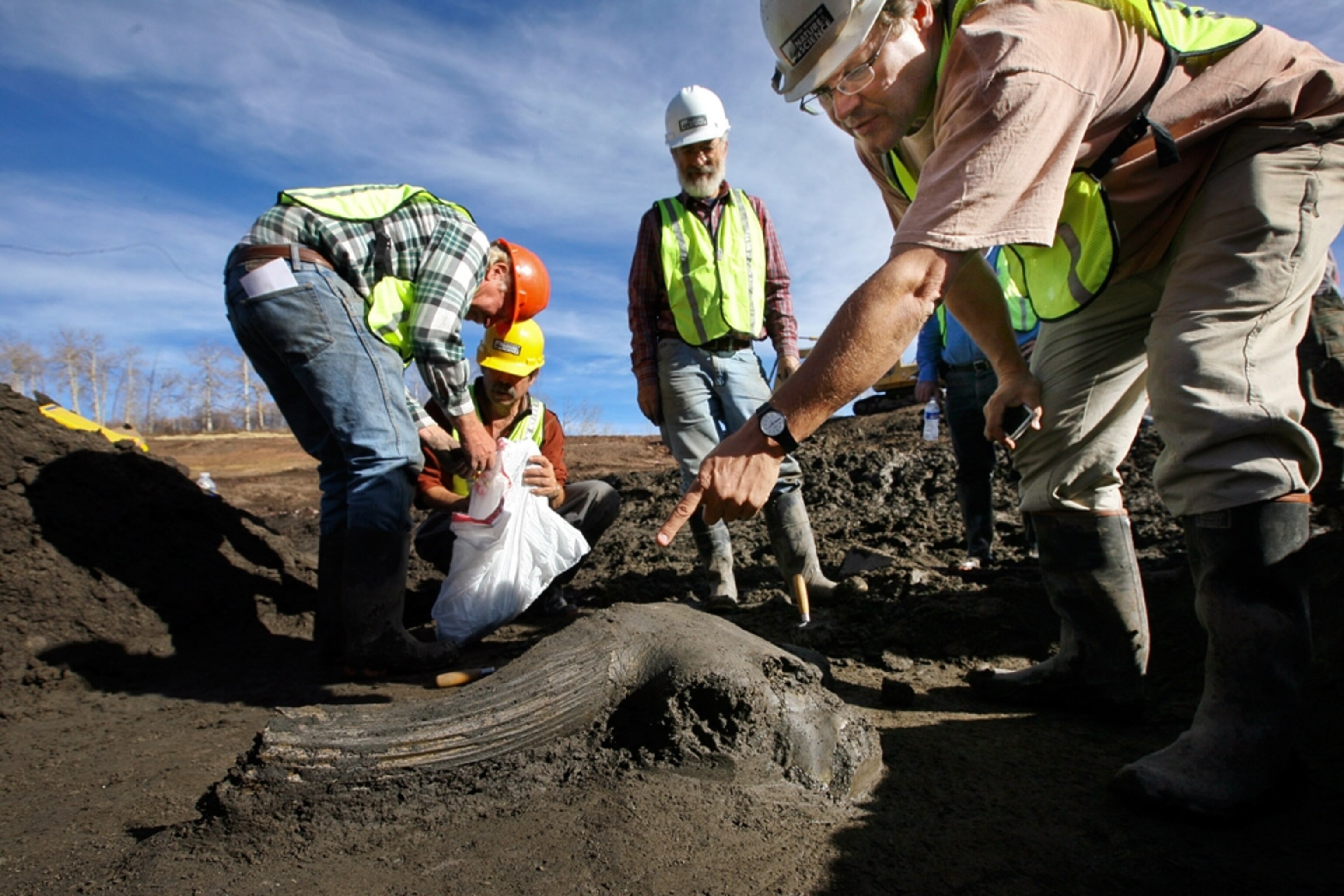 Pictures: "Remarkable" Ice Age Fossil Cache Found