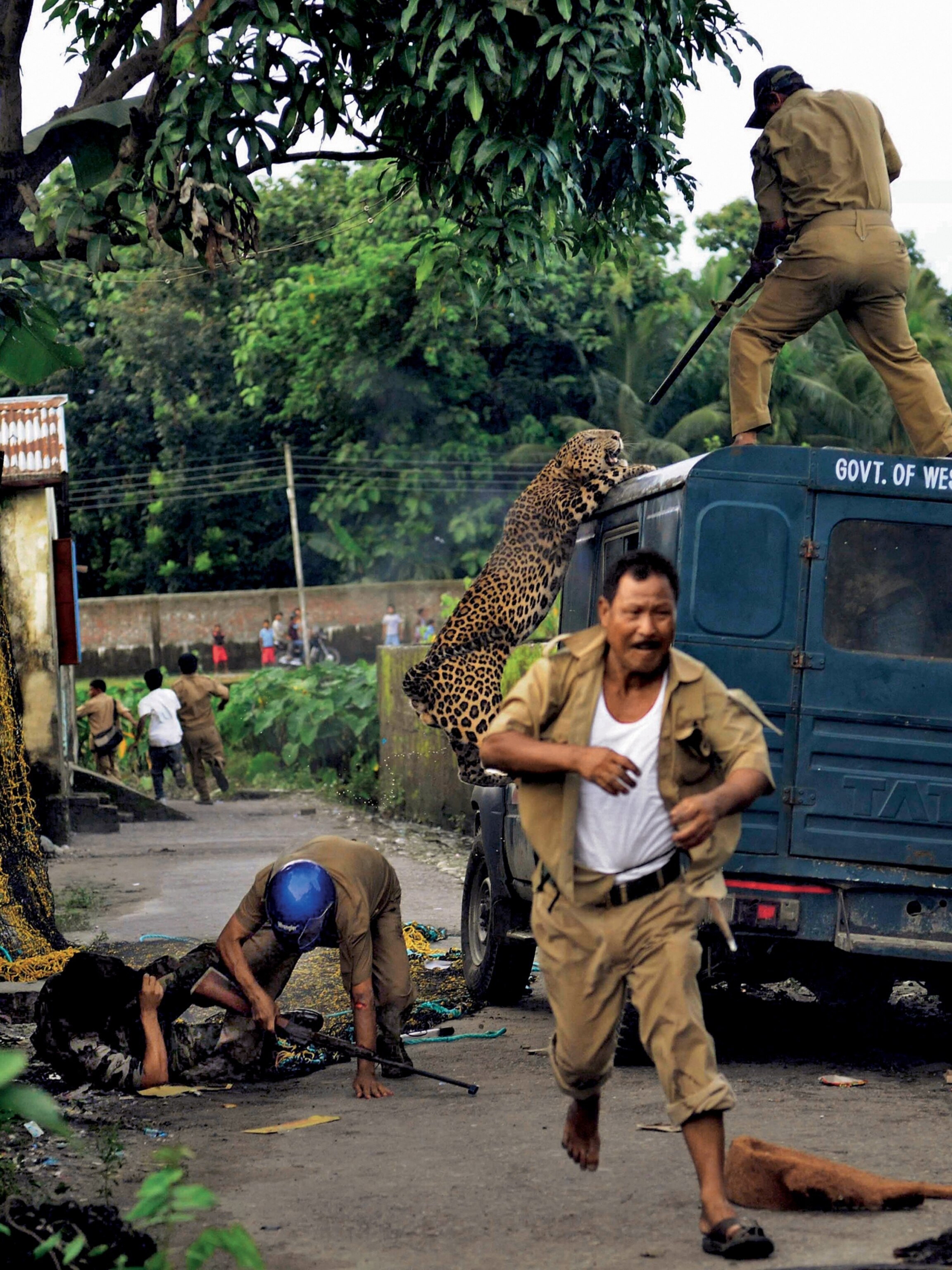 Learning to Live With Leopards